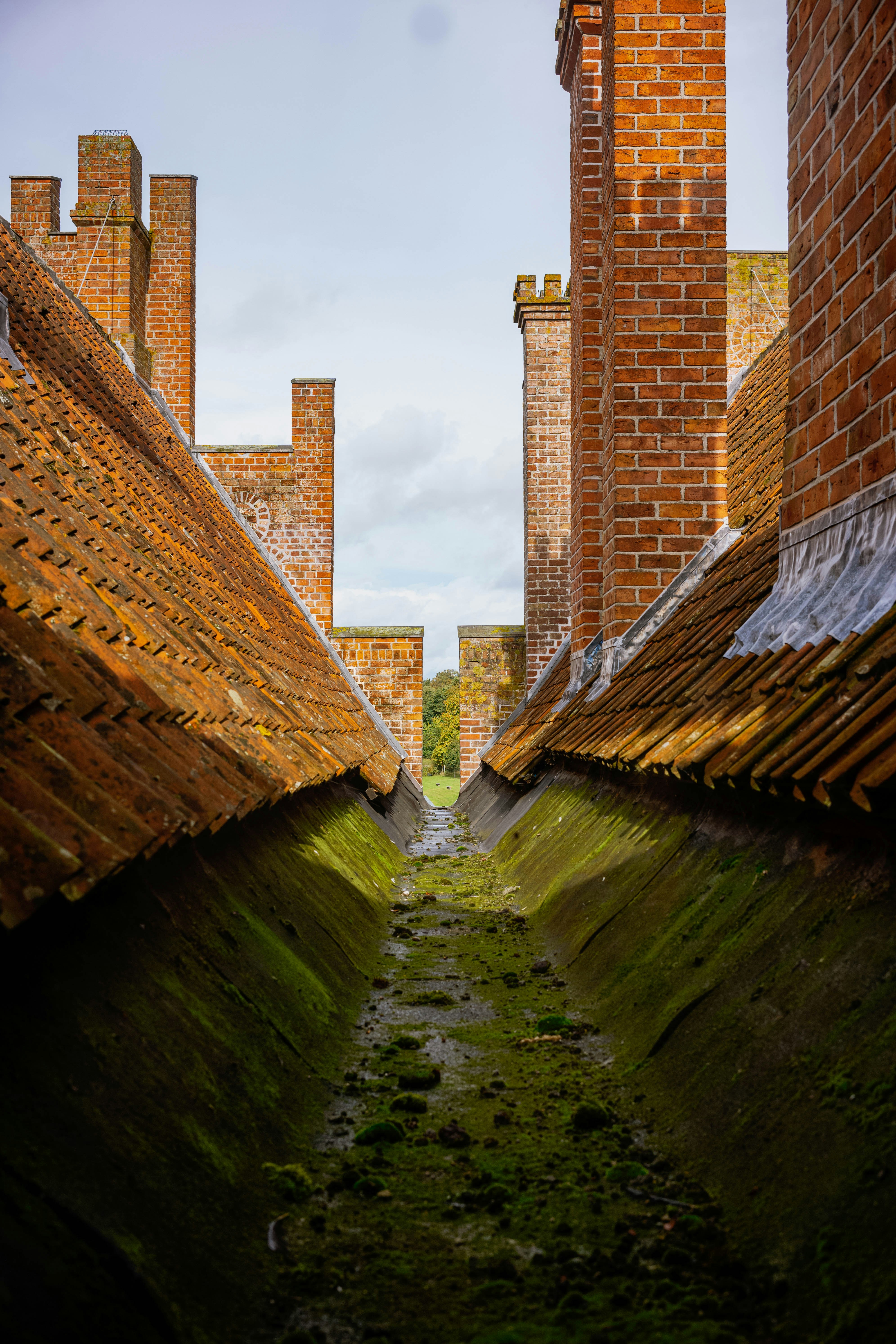 A narrow alley between two brick buildings photo – Free Brick Image on ...