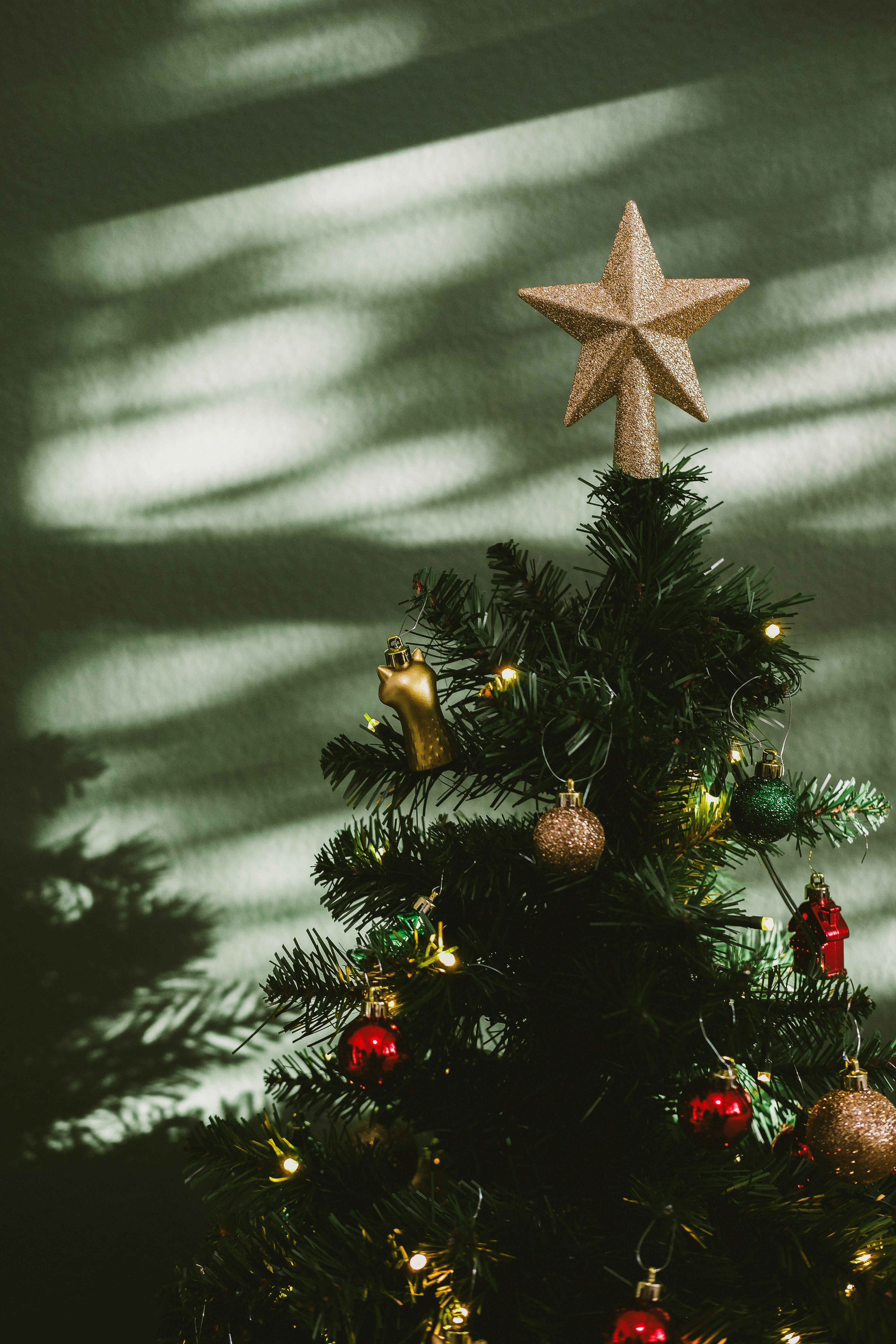 A small christmas tree with a star on top photo – Free Christmas Image ...