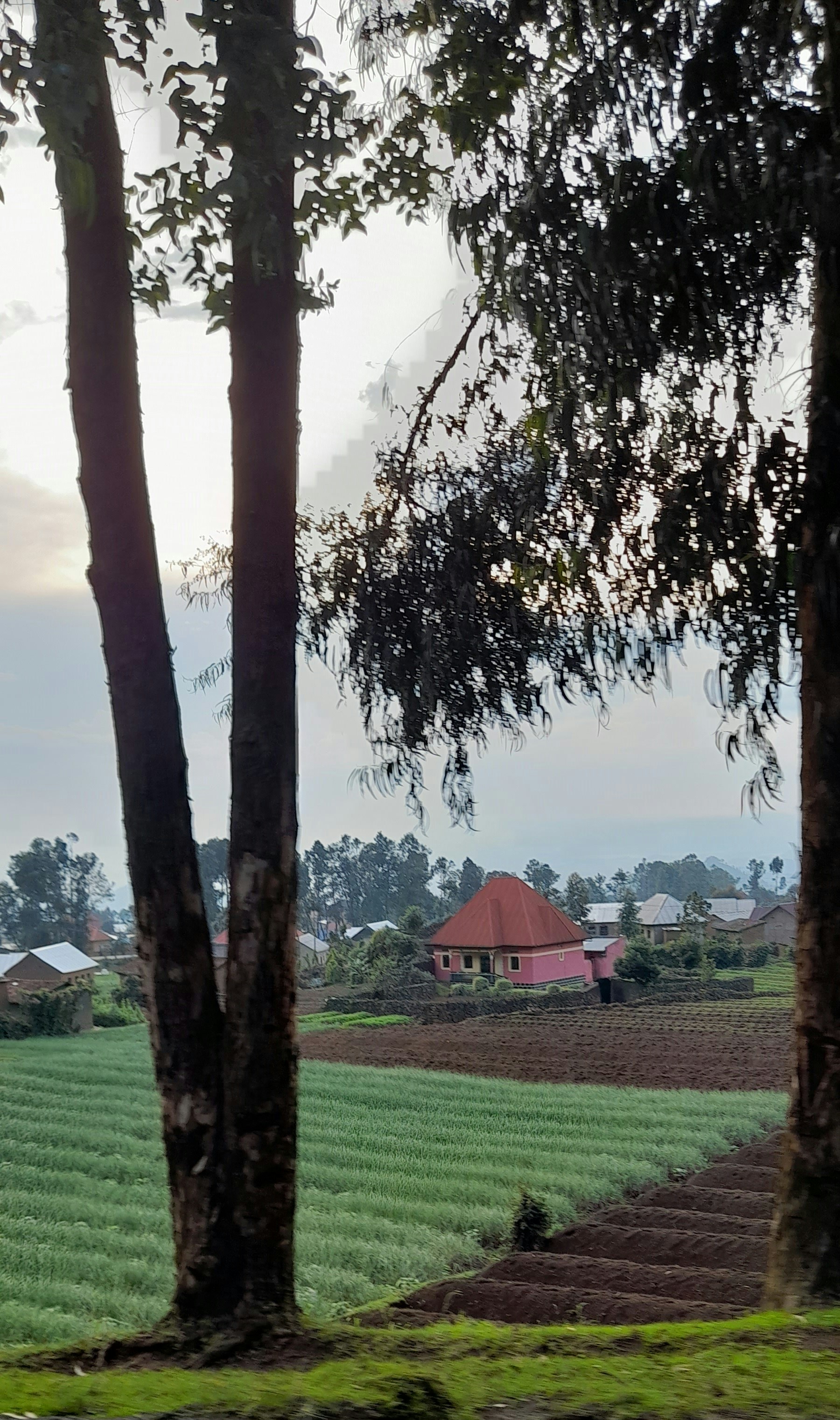 CLARA METIVIER BEUKES (@clarabeukes) | Unsplashフォトコミュニティ