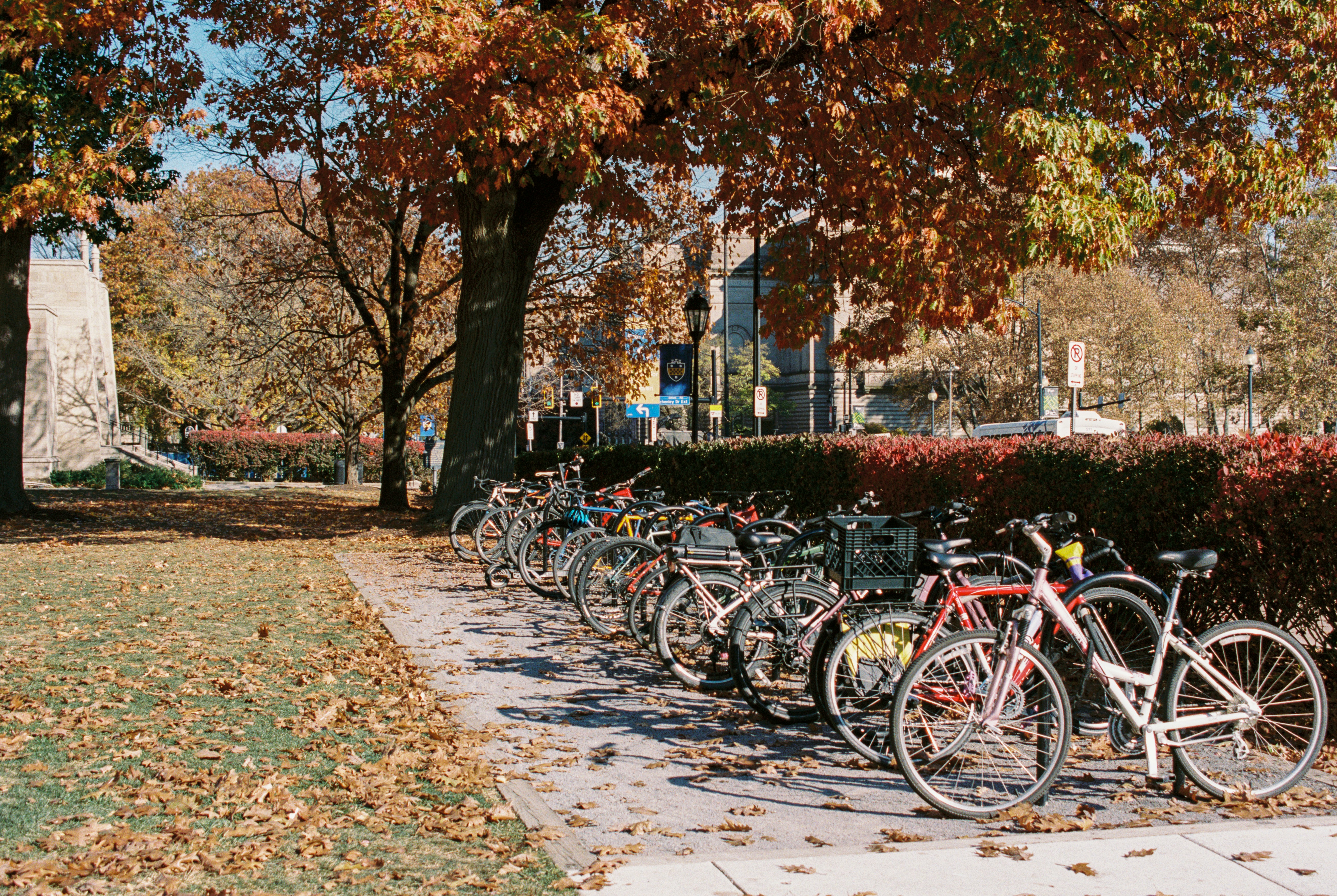 A row of bikes parked next to each other on a sidewalk photo – Free ...