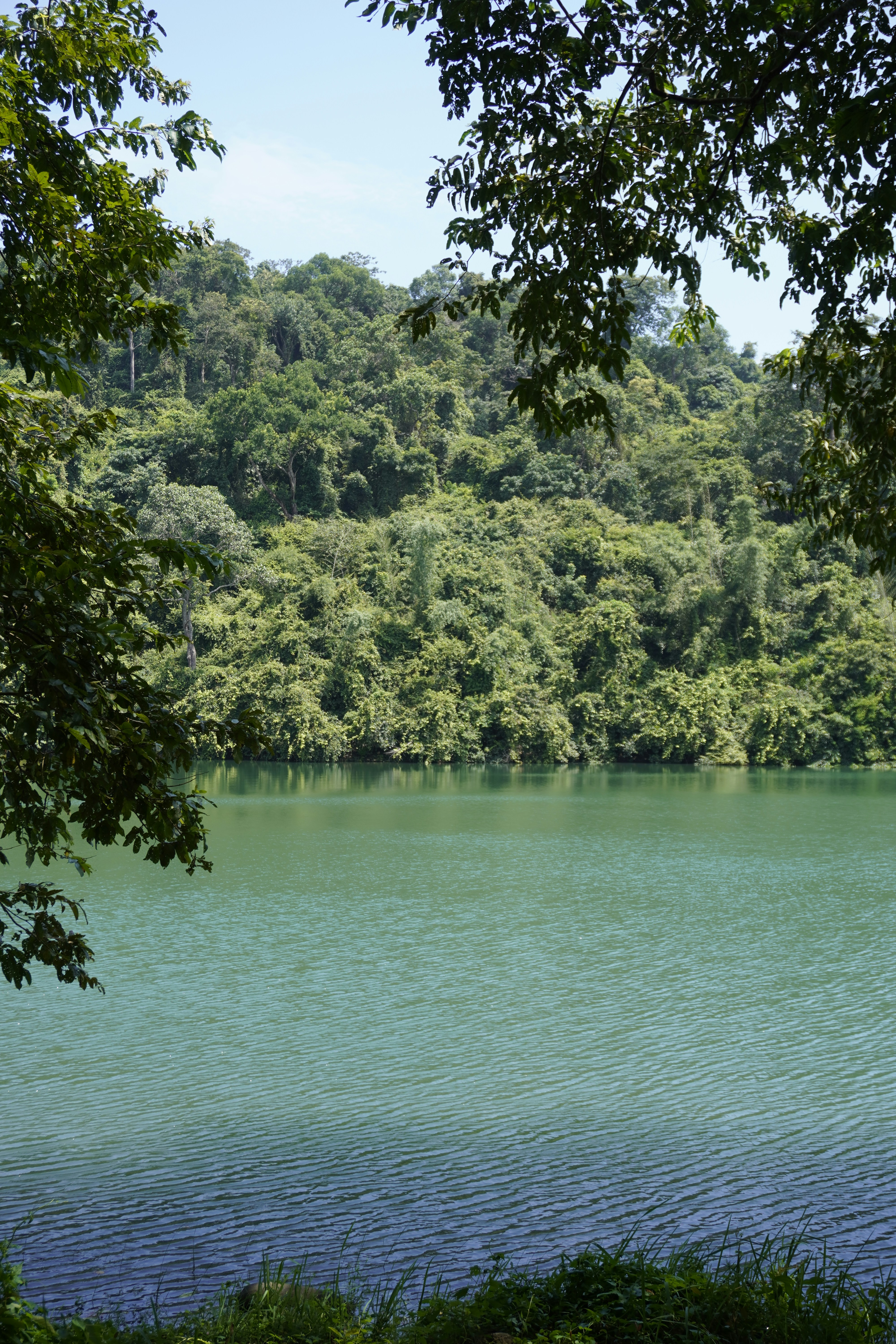 Photo by Maanas Muruganandan with Sony Alpha 6400