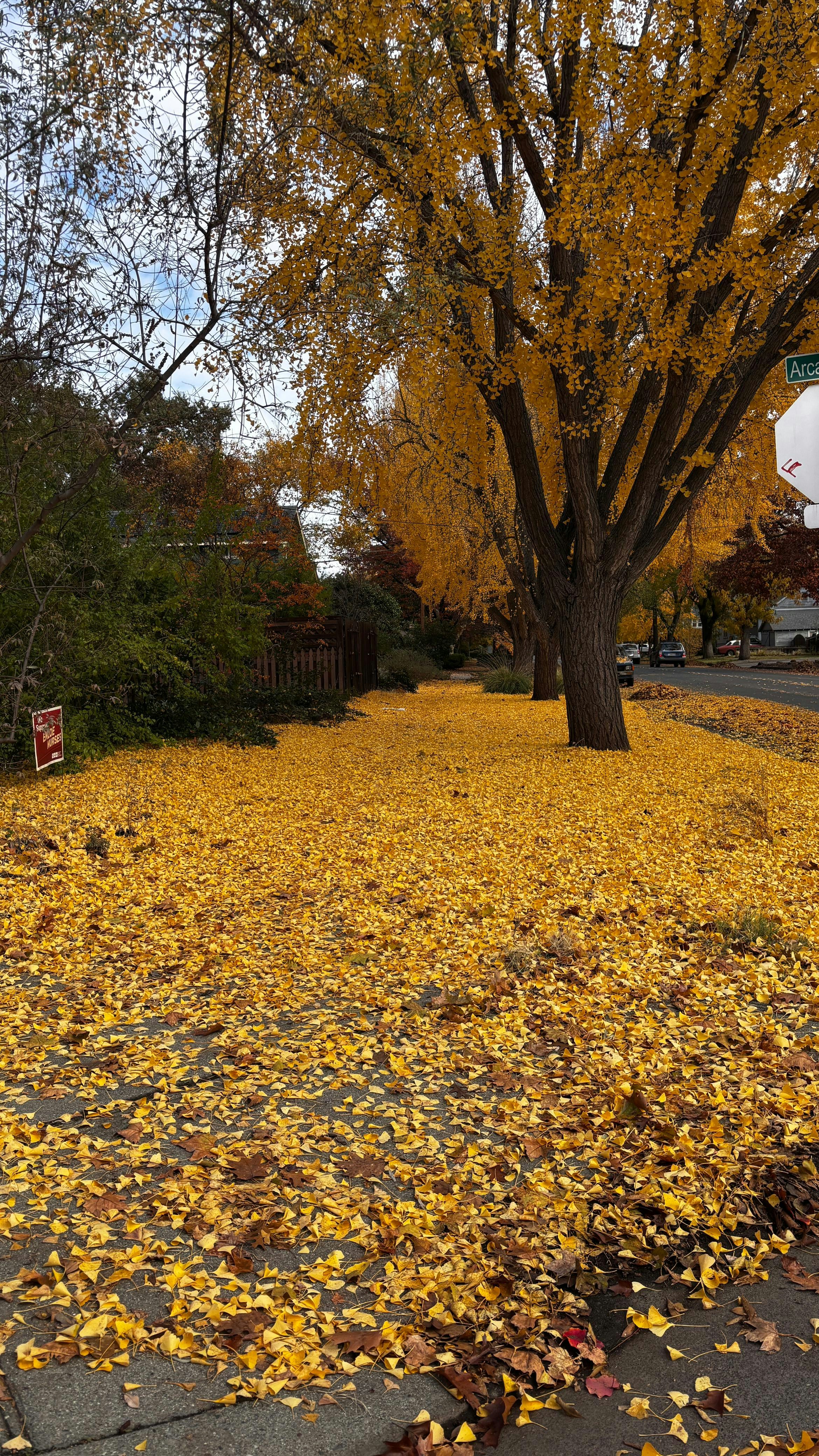 Anand Kumar (@paul_tenele) | Unsplash Photo Community