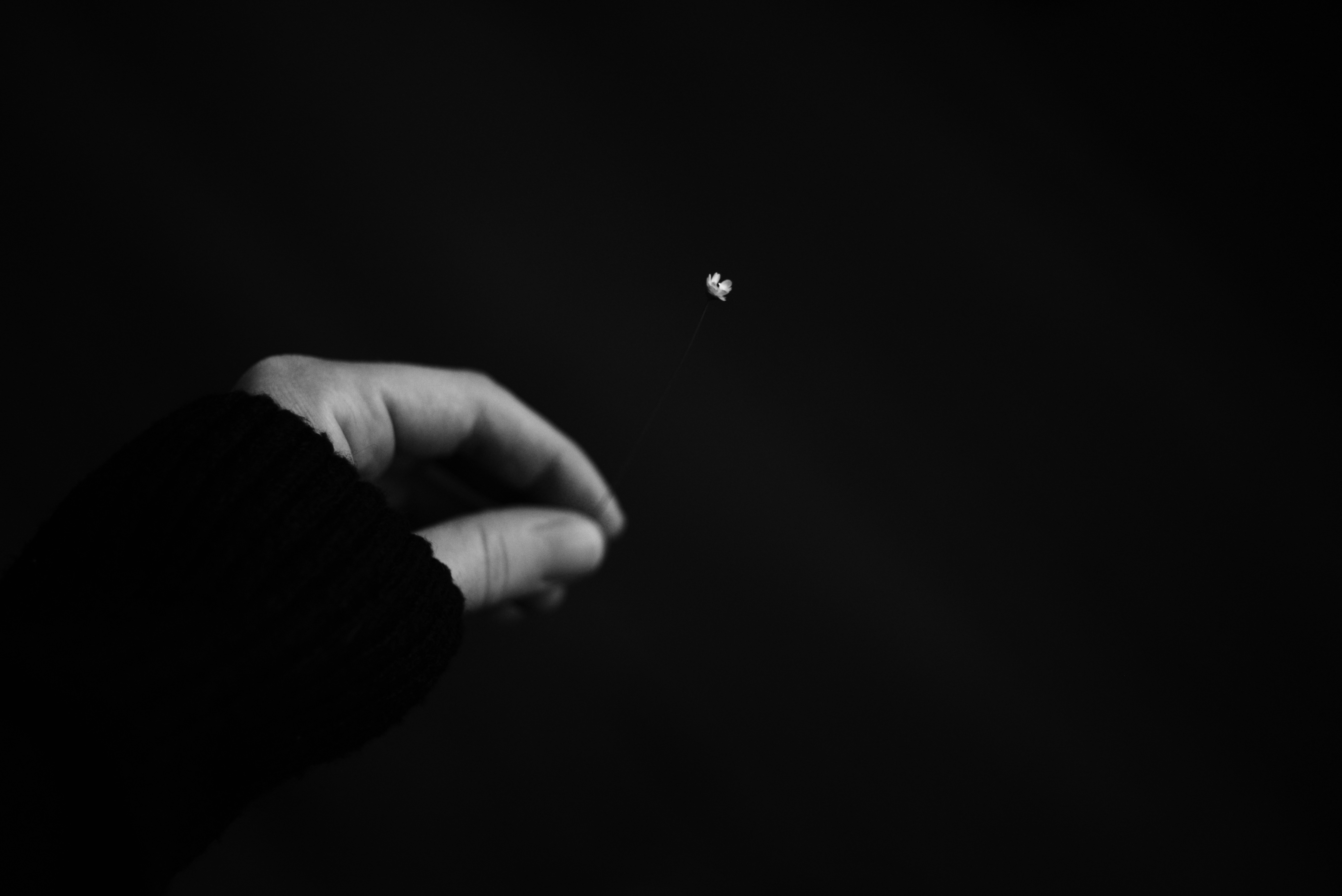 Small Spark, Large Silence: A Hand Reaches for a Floating Glint