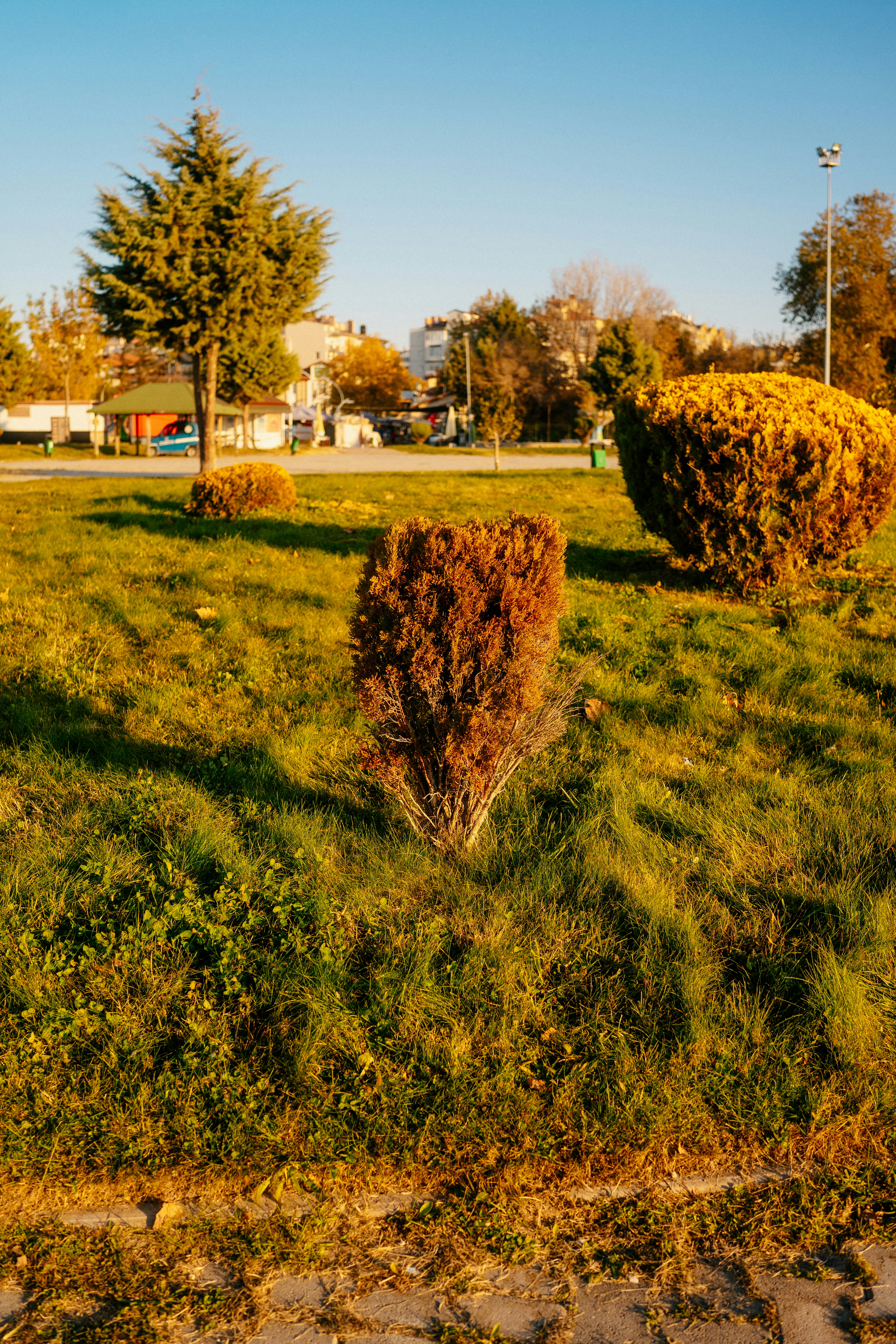 Beyşehir, Konya, Türkiye. November 2024. Shot on Sony A7M2 and Sigma 35mm F2