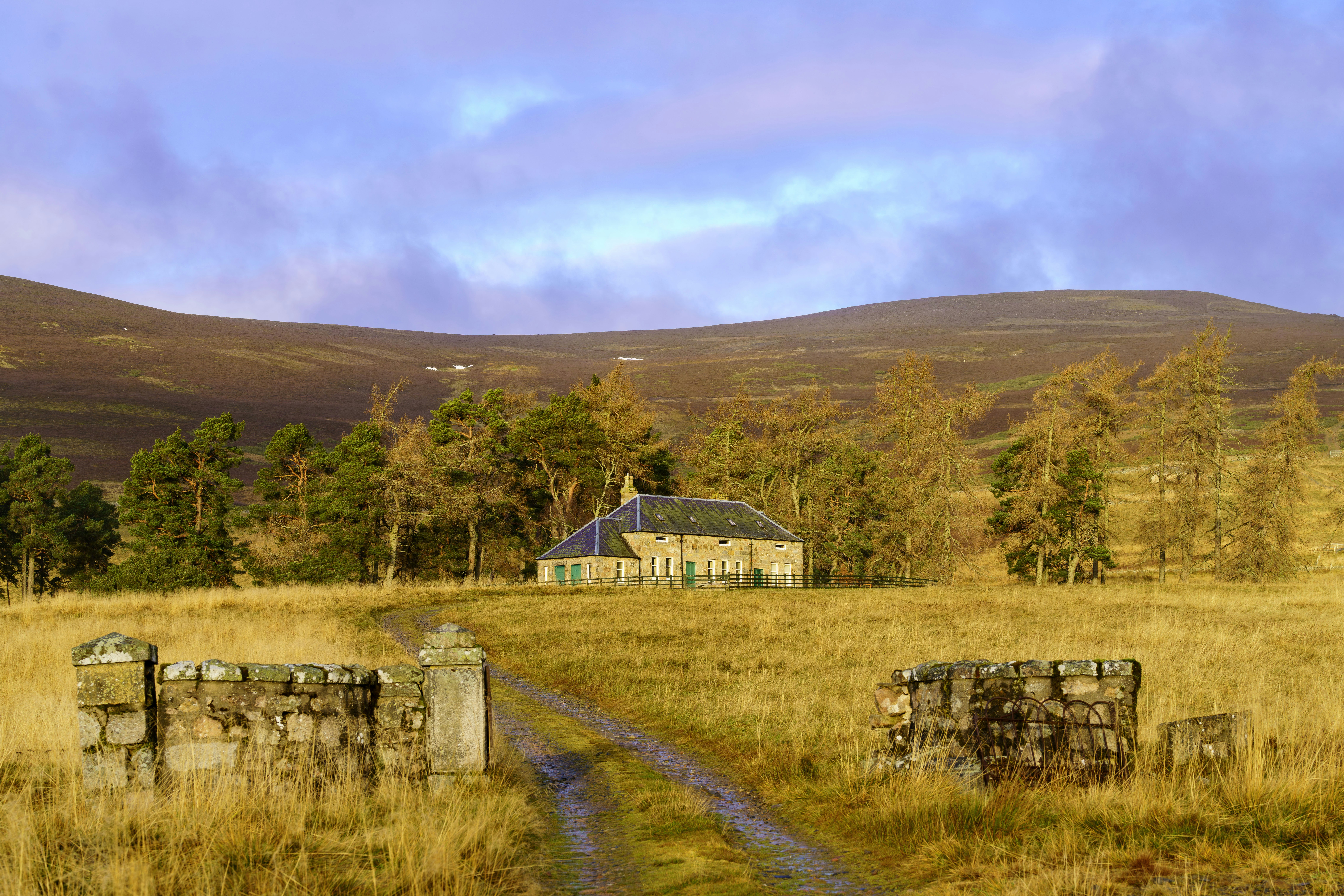 A painting of a field with a house in the background photo – Free ...