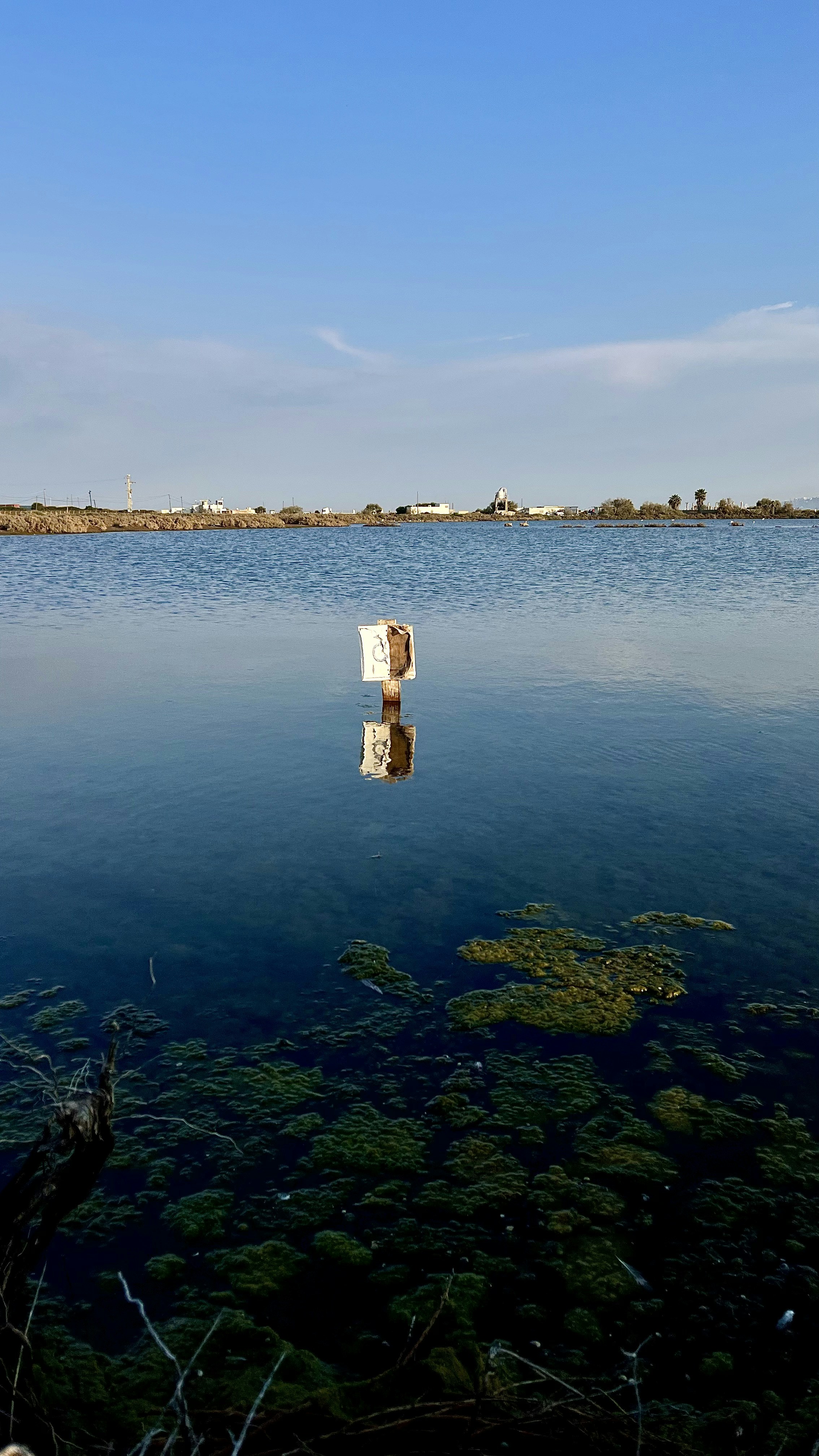 Floating Signpost in a Glassy Horizon