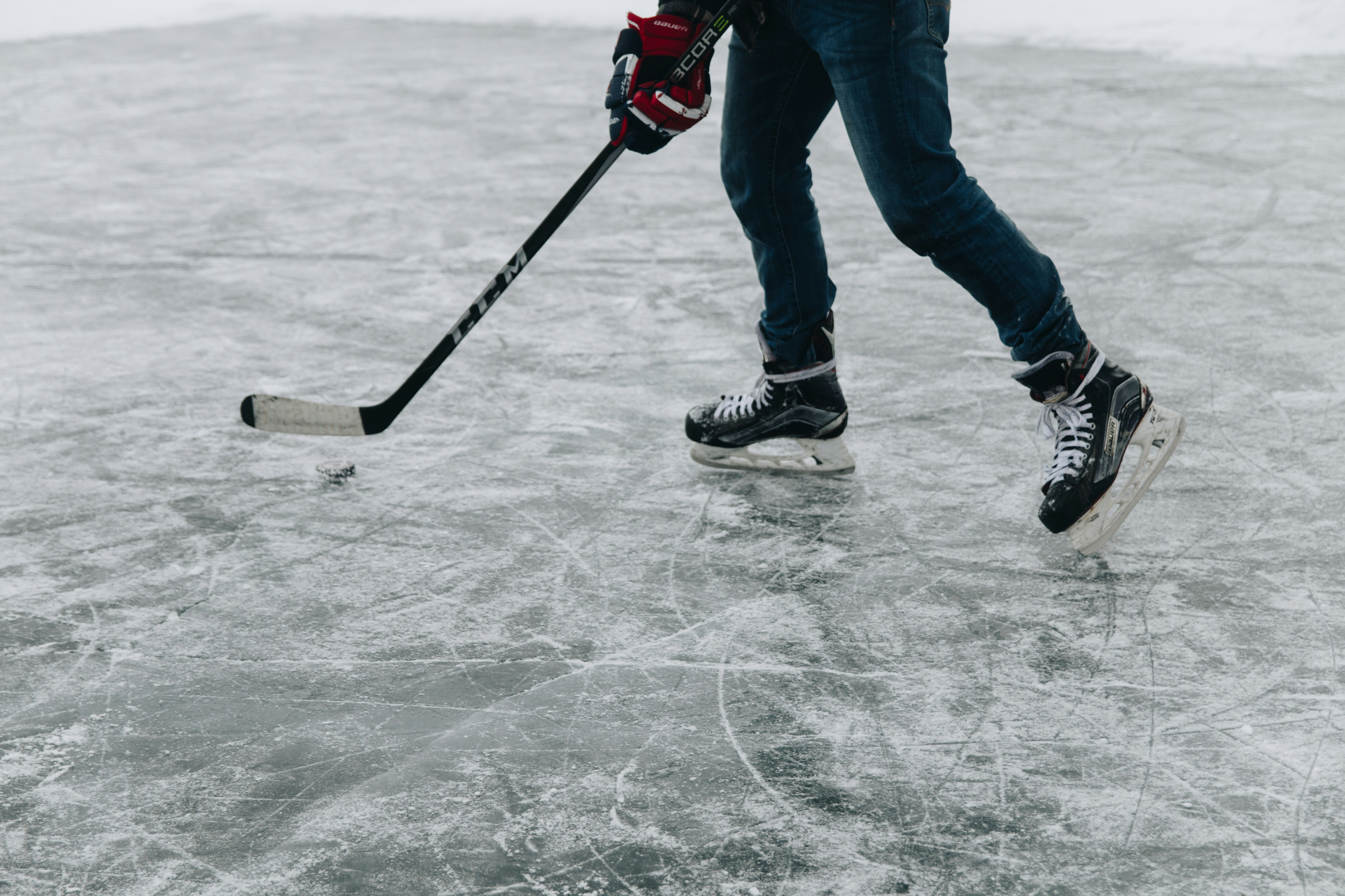 Photo by Taylor Friehl with Canon EOS 70D