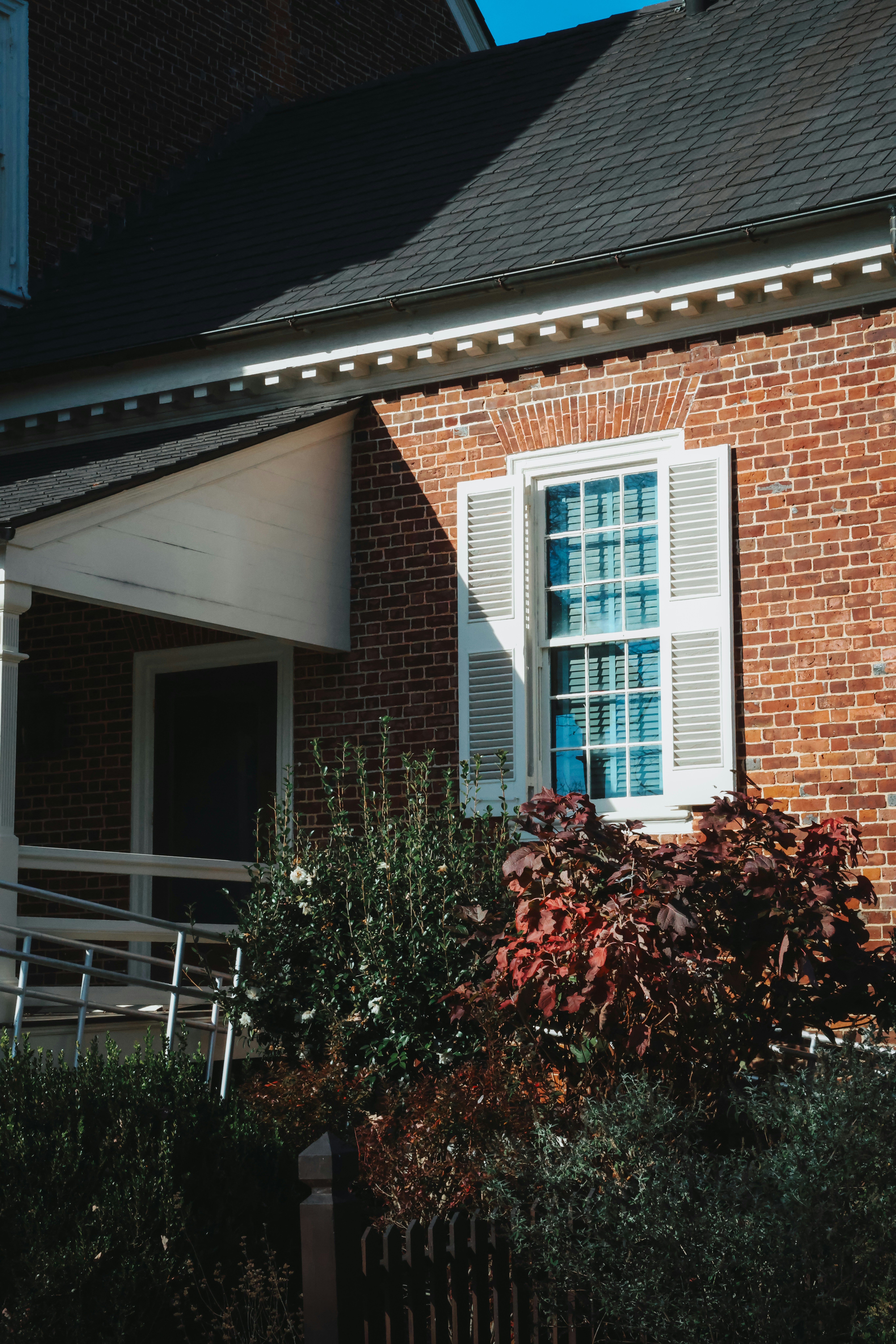 Photo by Brandon Griggs with Canon EOS R5 Mark II