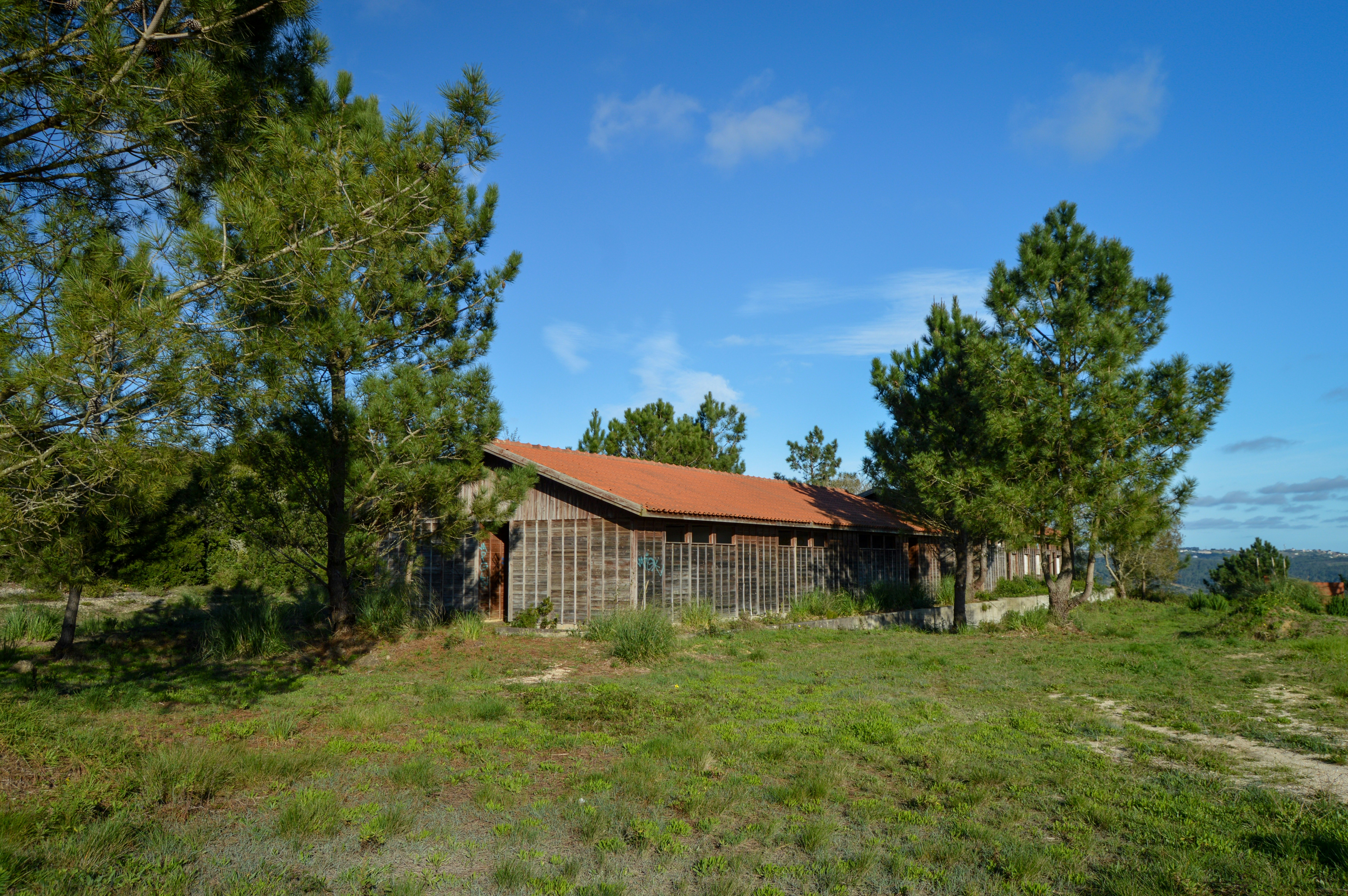 Wooden building with a red roof surrounded by pine trees under a clear blue sky.
