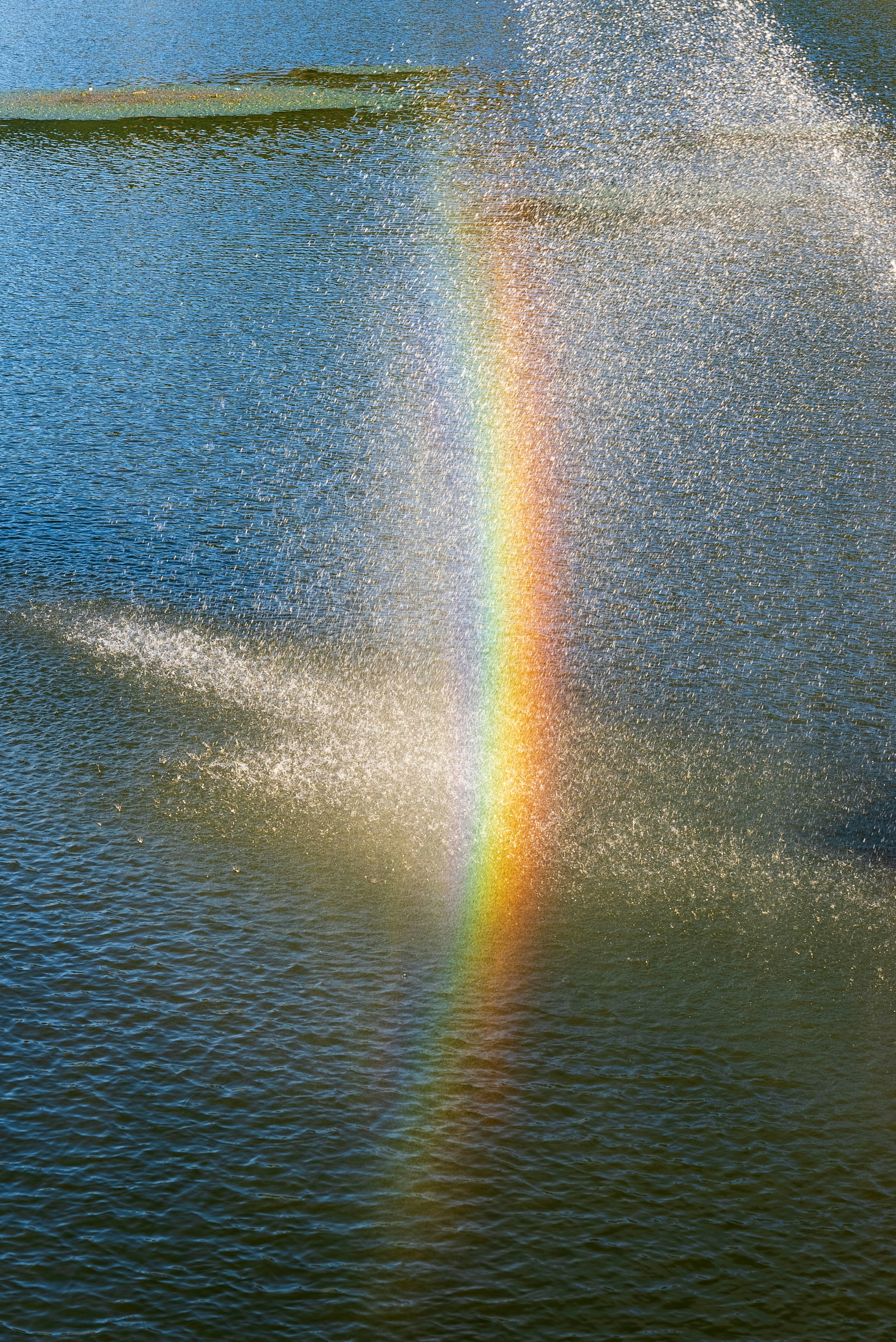 A rainbow appears in the sky over the water photo – Free Rainbow Image ...