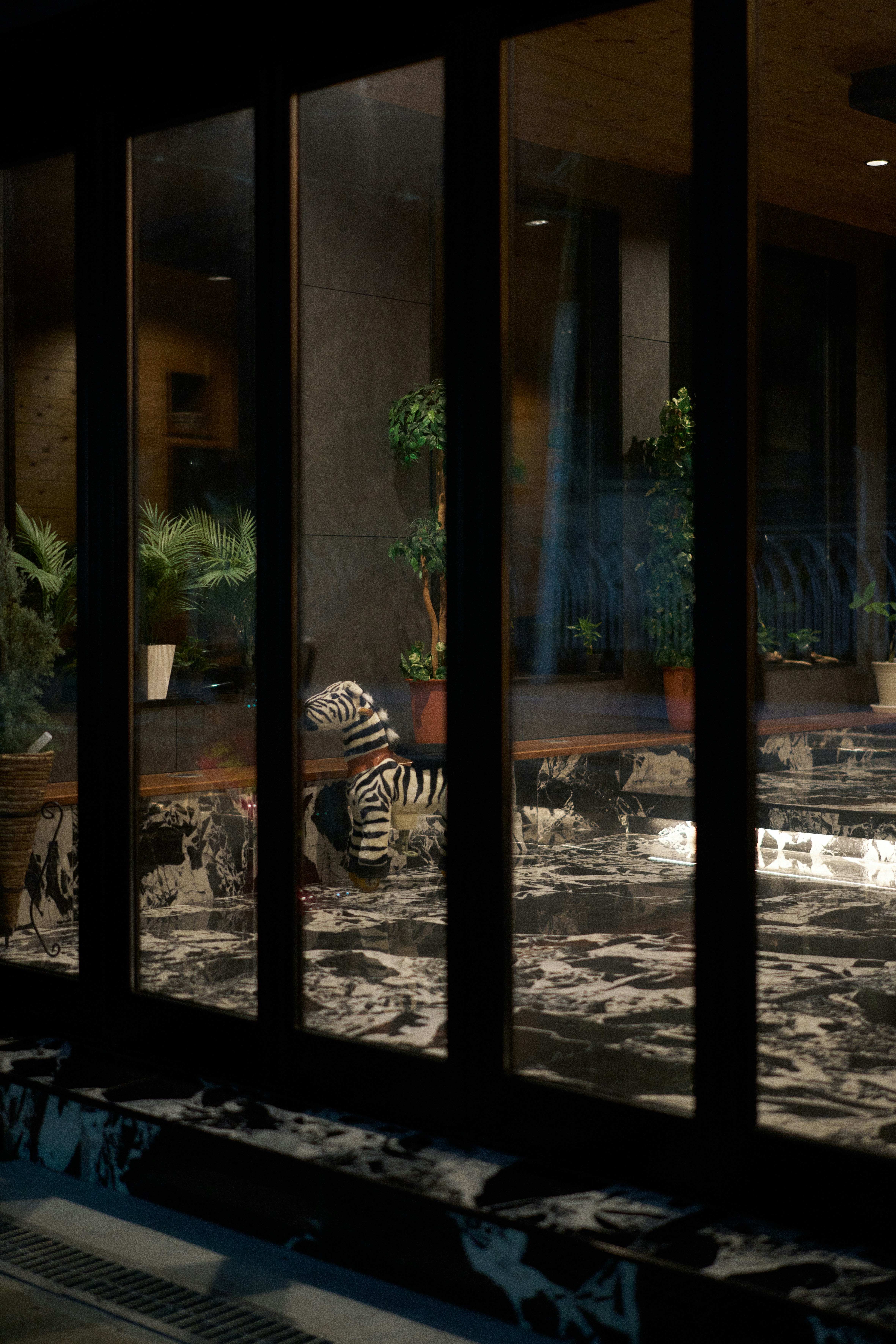 A room with a zebra in the middle of it photo – Free Building Image on ...