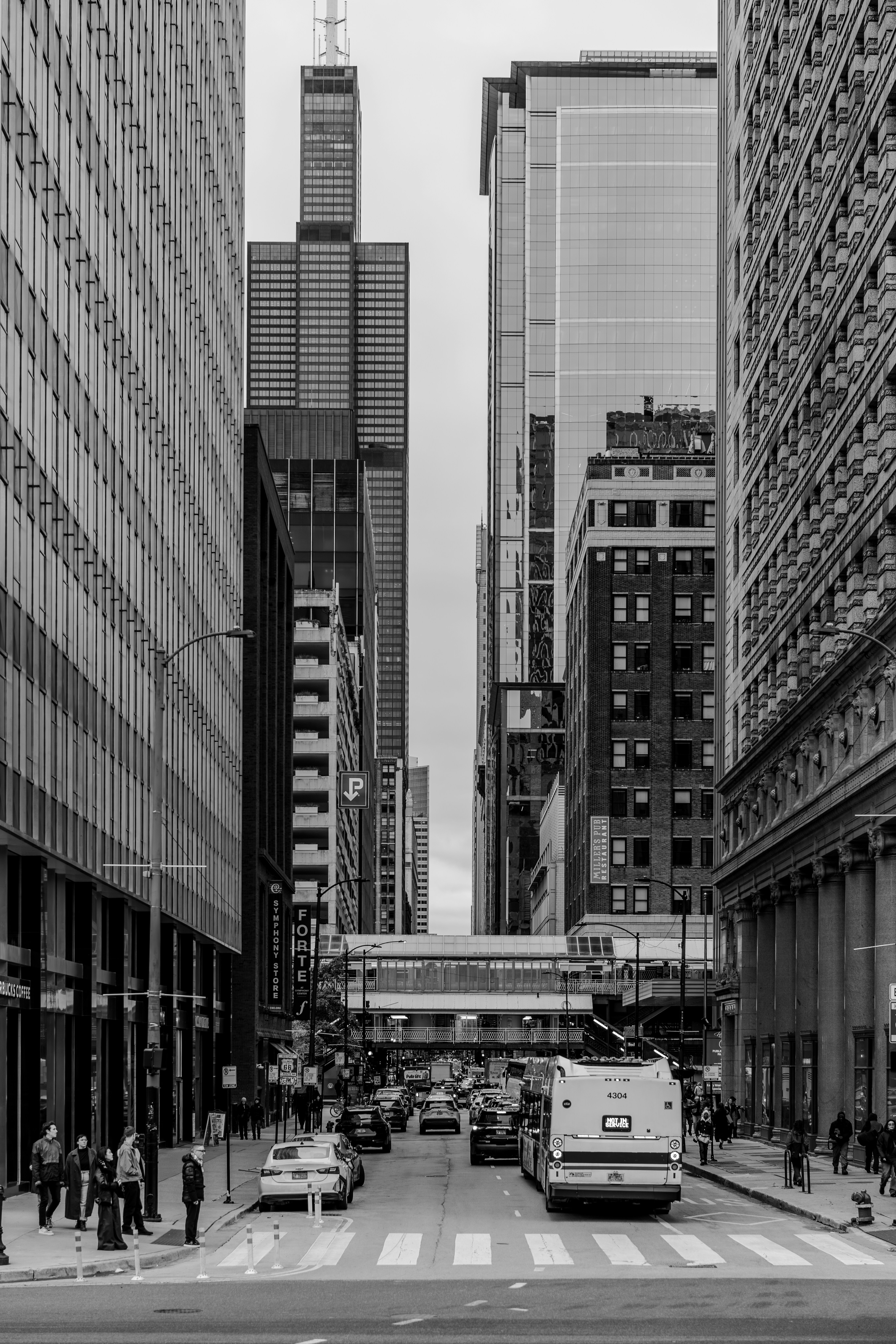 Photo by Hanlin Sun with Sony Alpha 7C II