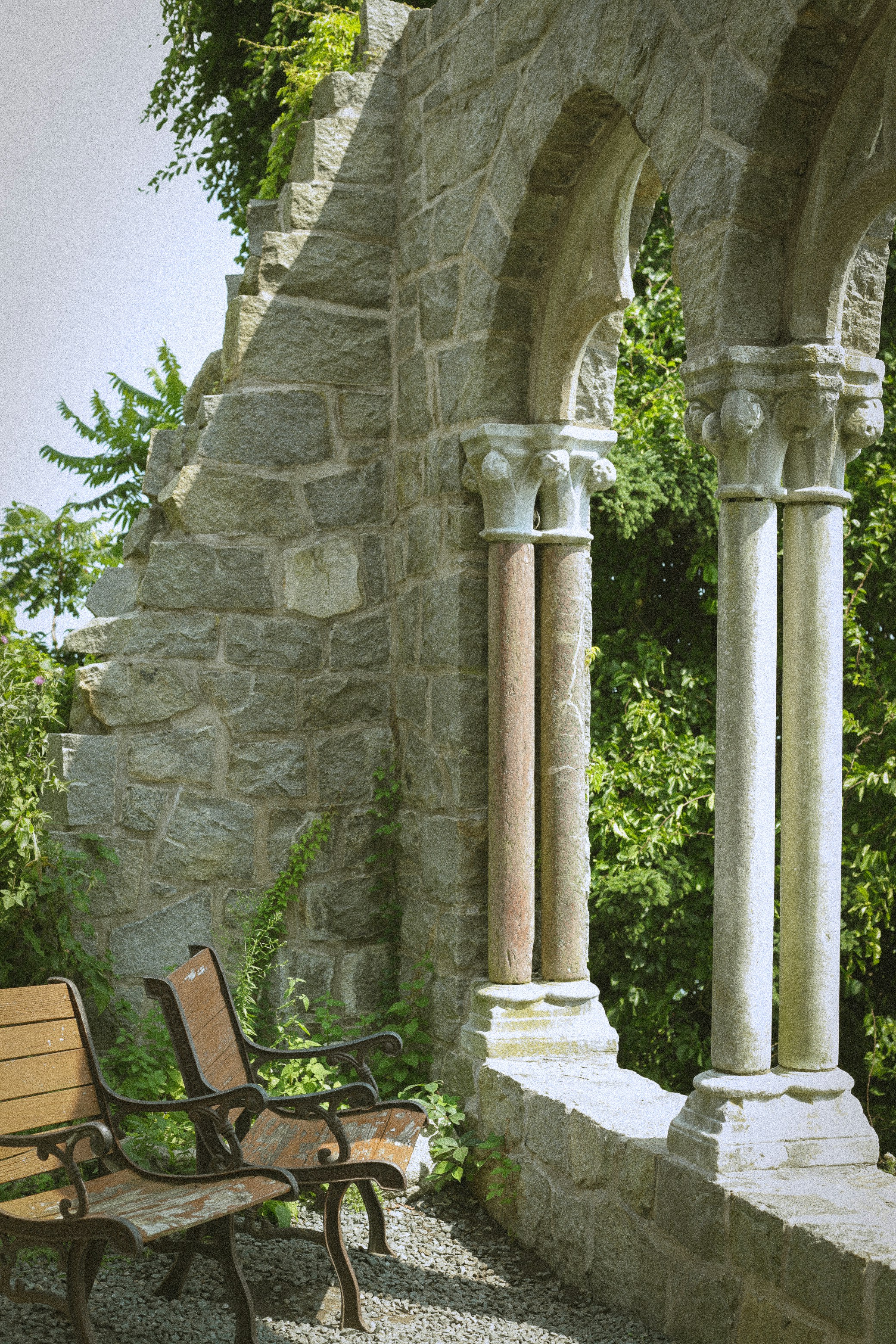 Ivy-Wrapped Archway in a Sunlit Stone Cloister