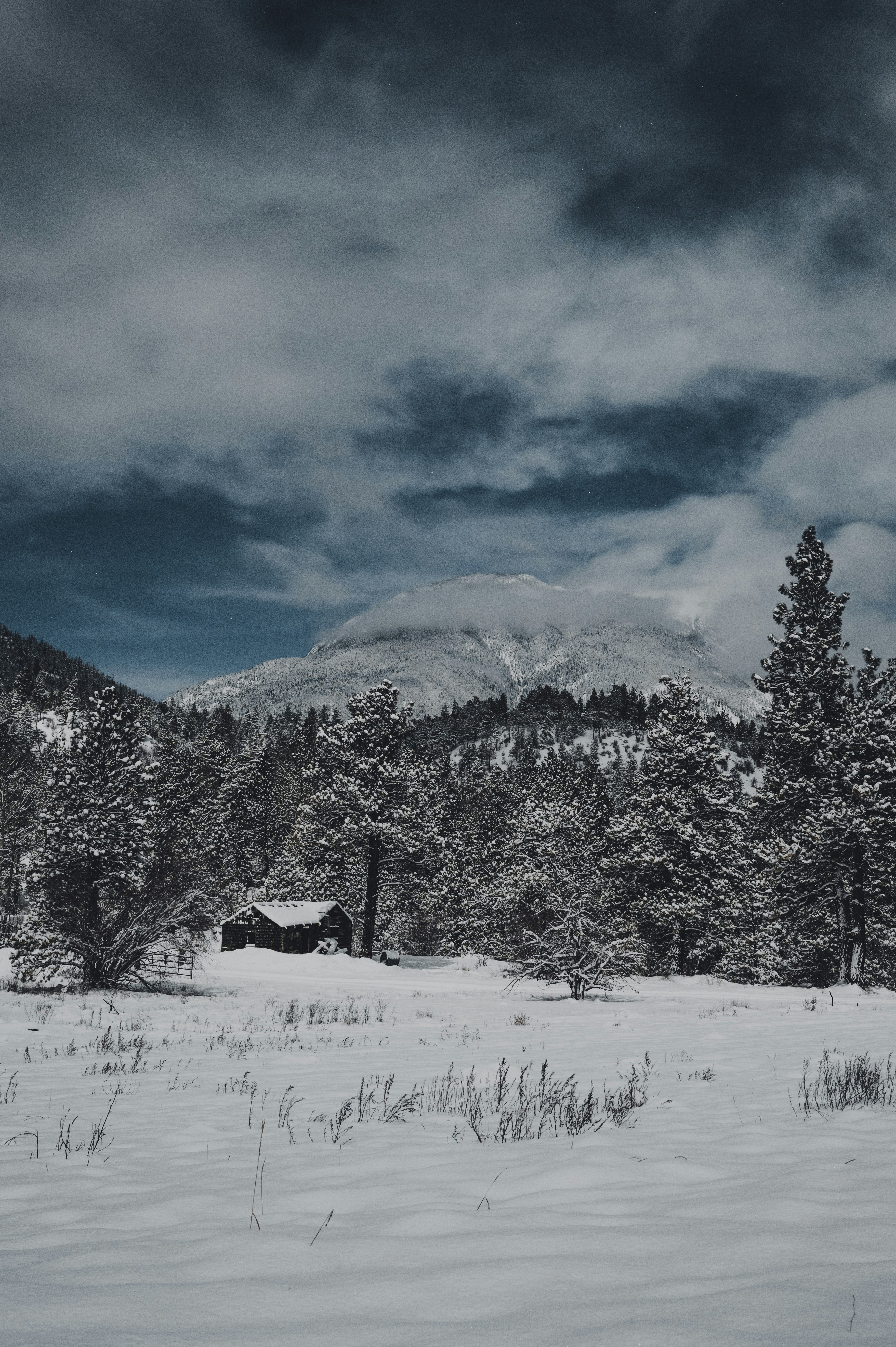 Snowbound Cabin Beneath a Turquoise Winter Sky and Frosted Pines