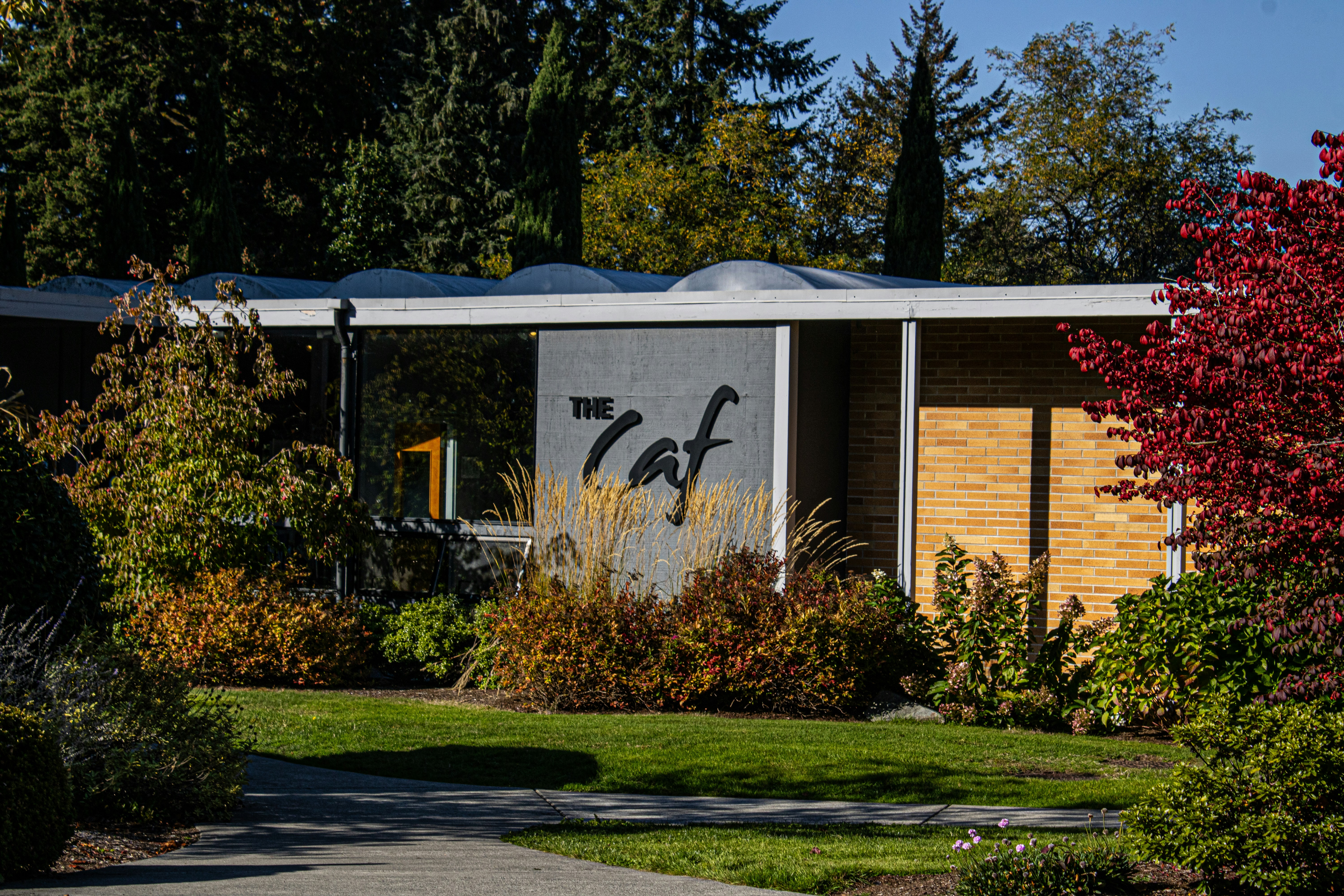 Autumn facade: orderly campus building framed by shrubs and maple