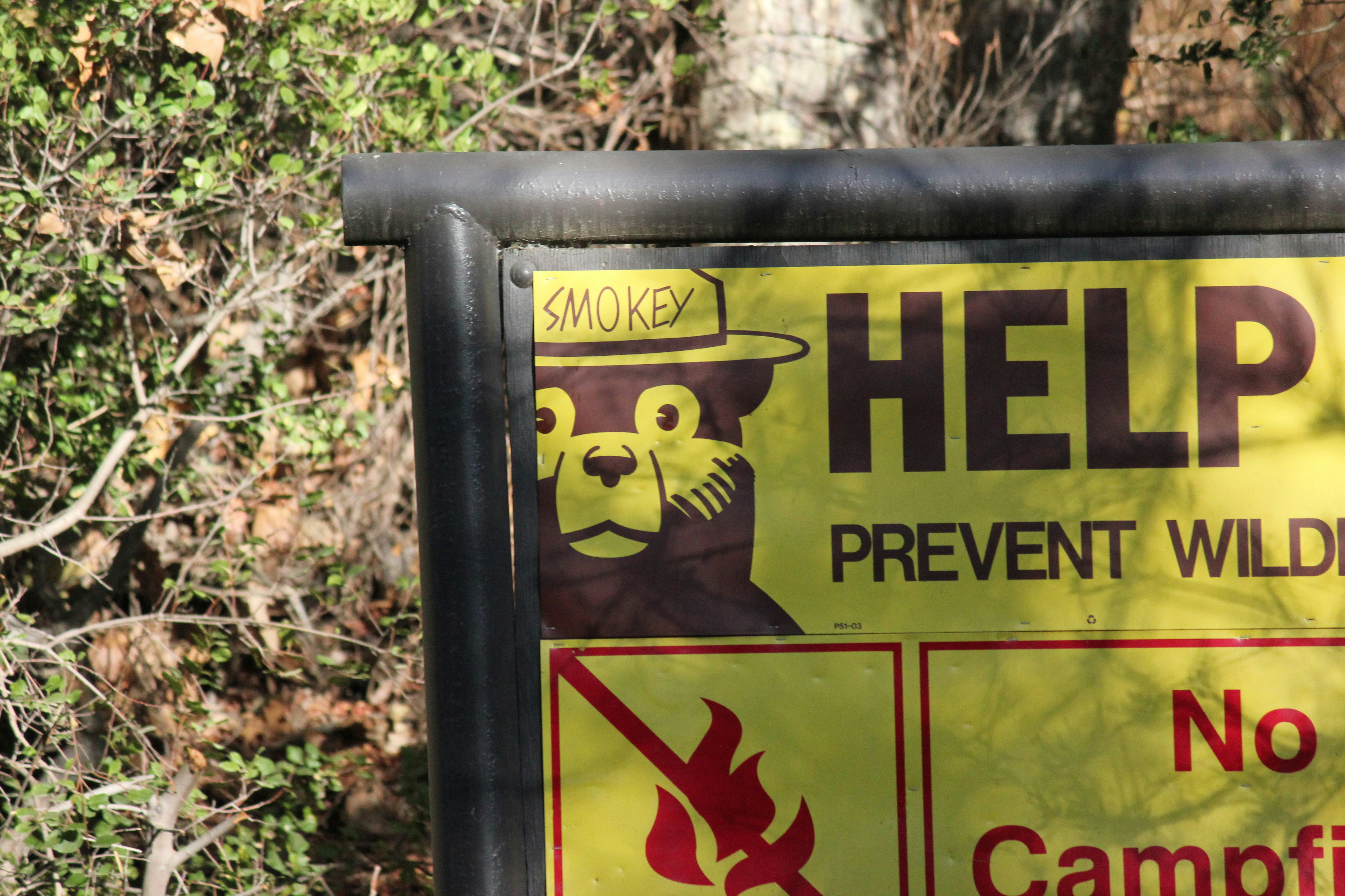 Smokey's Edge Warning: A Bright Forest Safety Sign