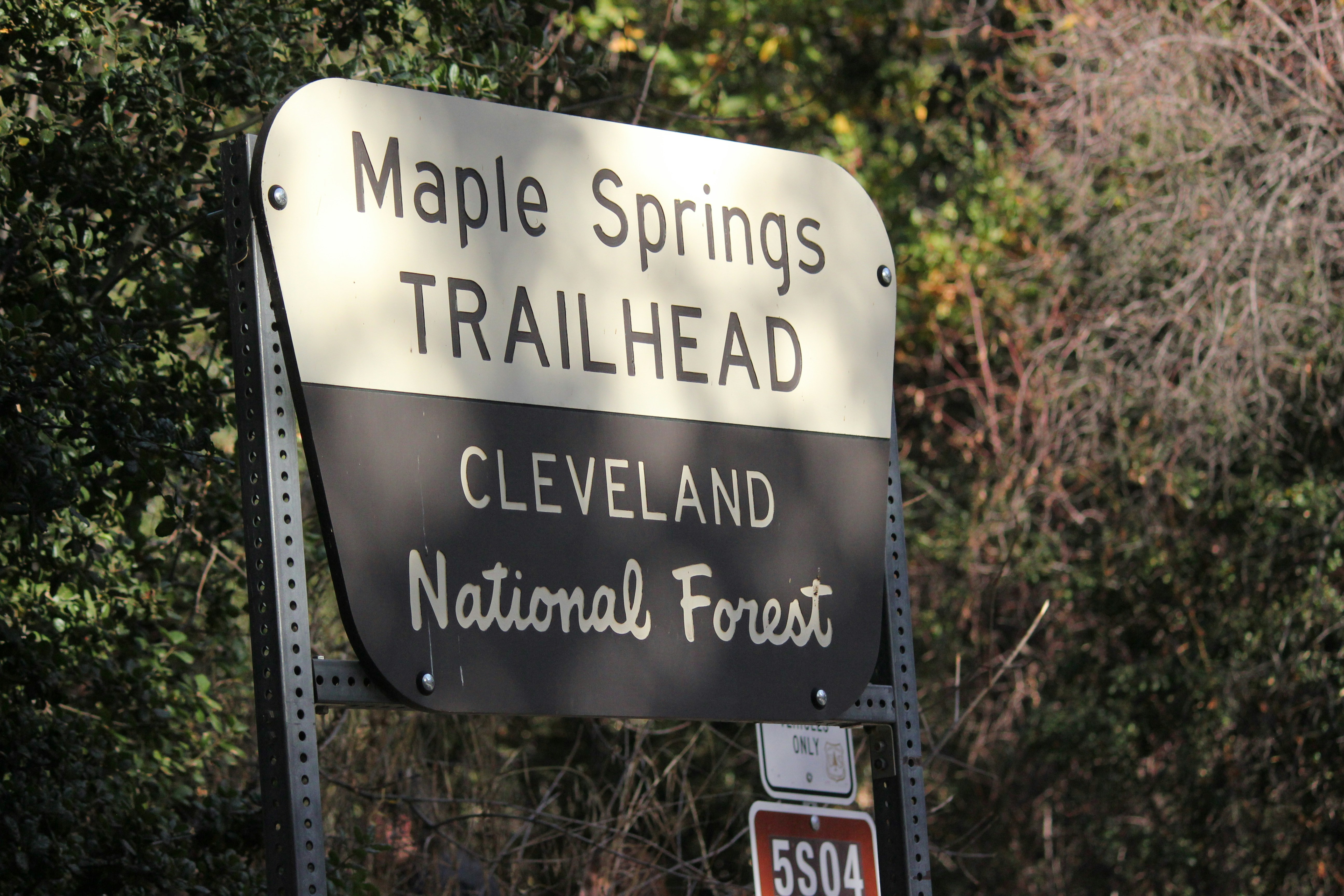 Maple Springs Trailhead: A Quiet Marker in Cleveland National Forest