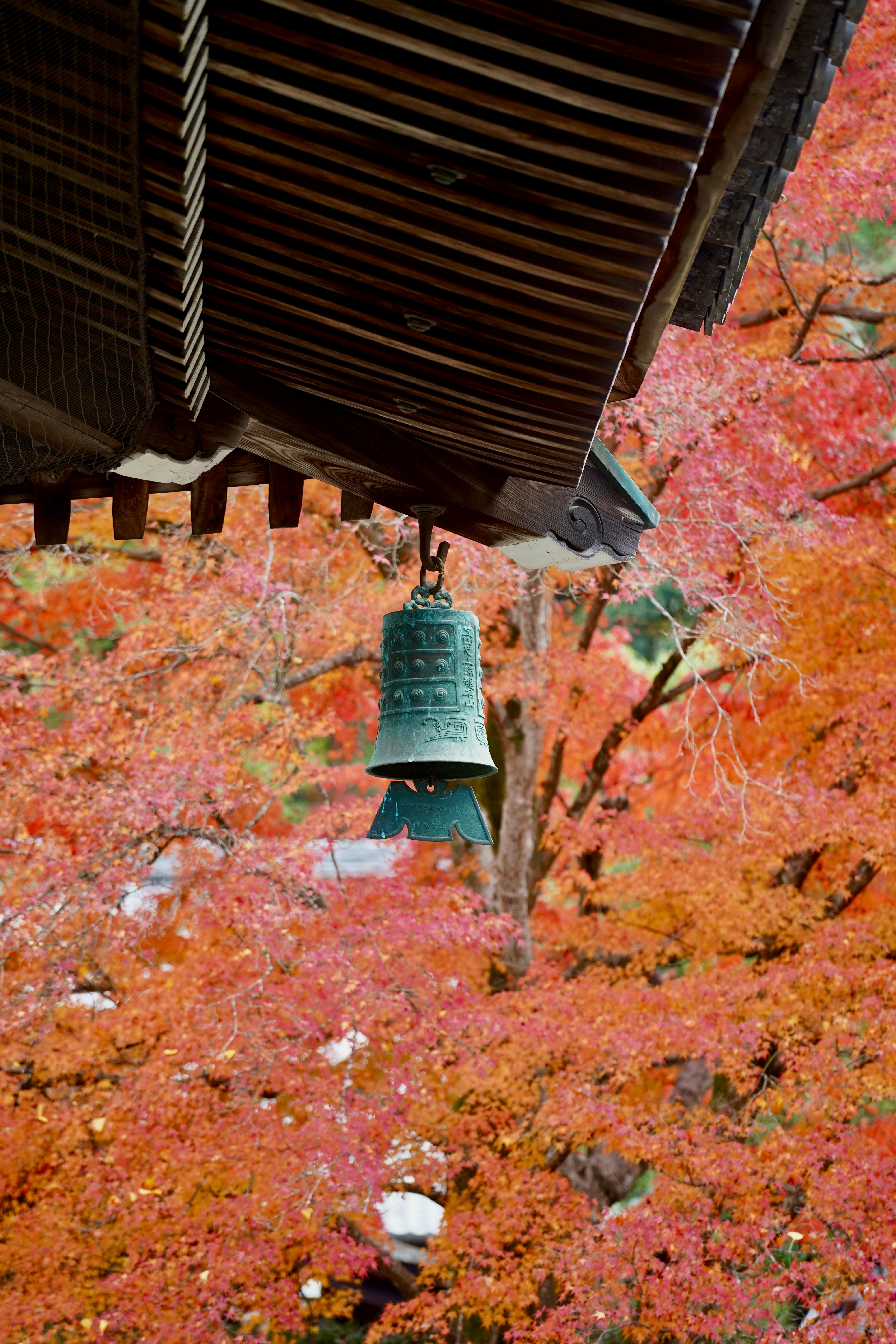 Teal Bell Beneath a Crimson Maple Canopy