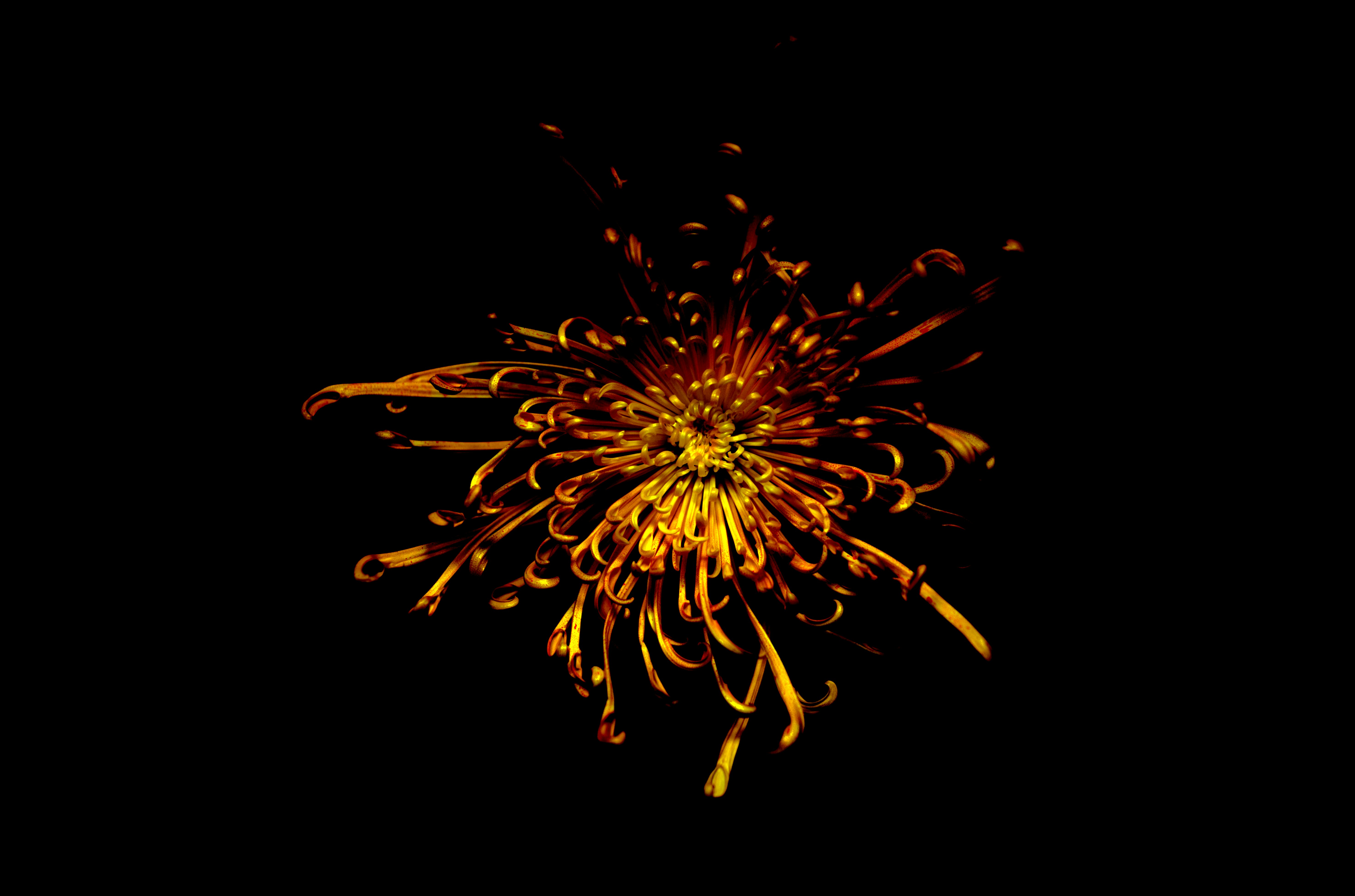 Ember Bloom in the Void: A Fireflower Unfurls in Darkness