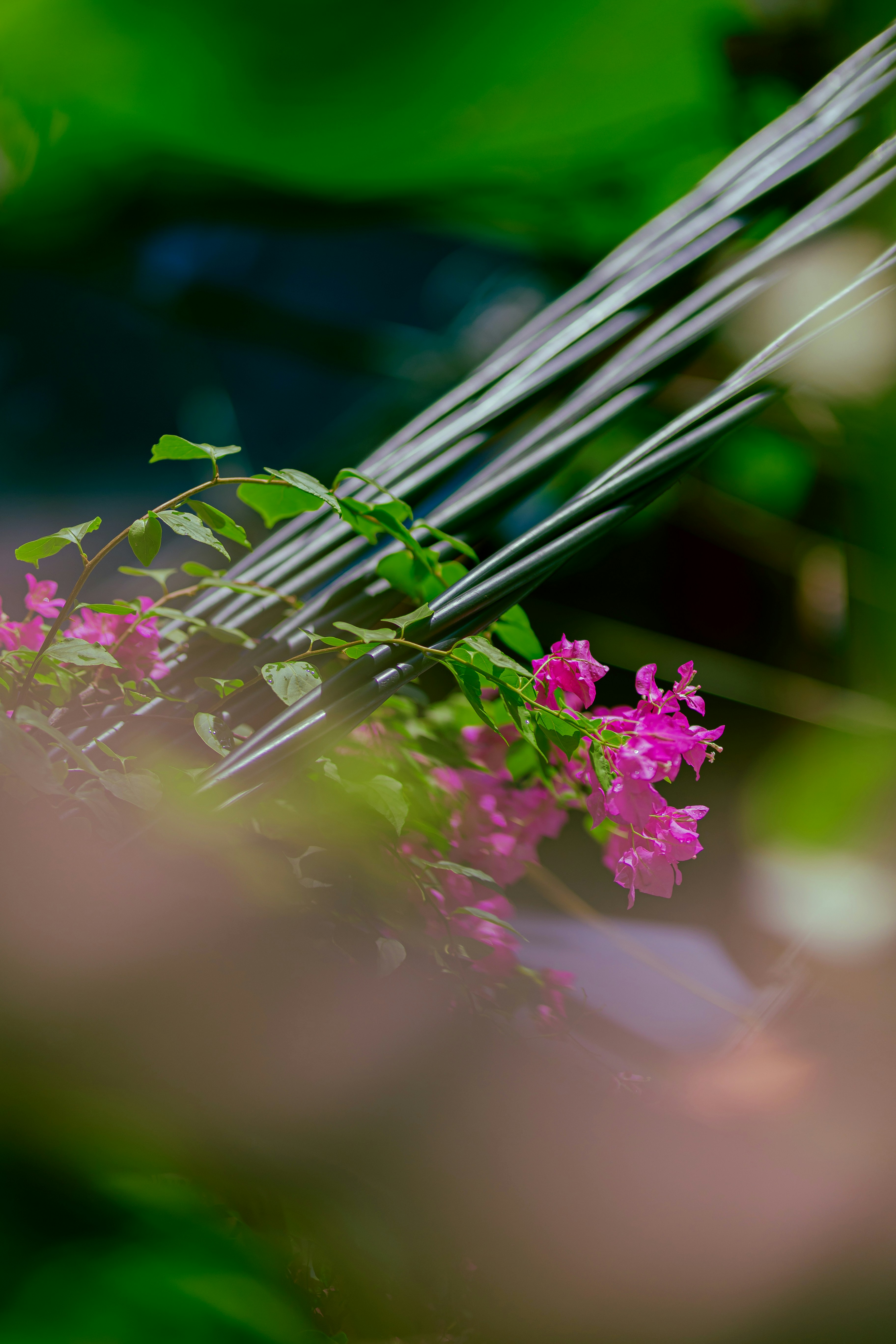 Pink Bougainvillea Threads Meet Silver Cables in Morning Light