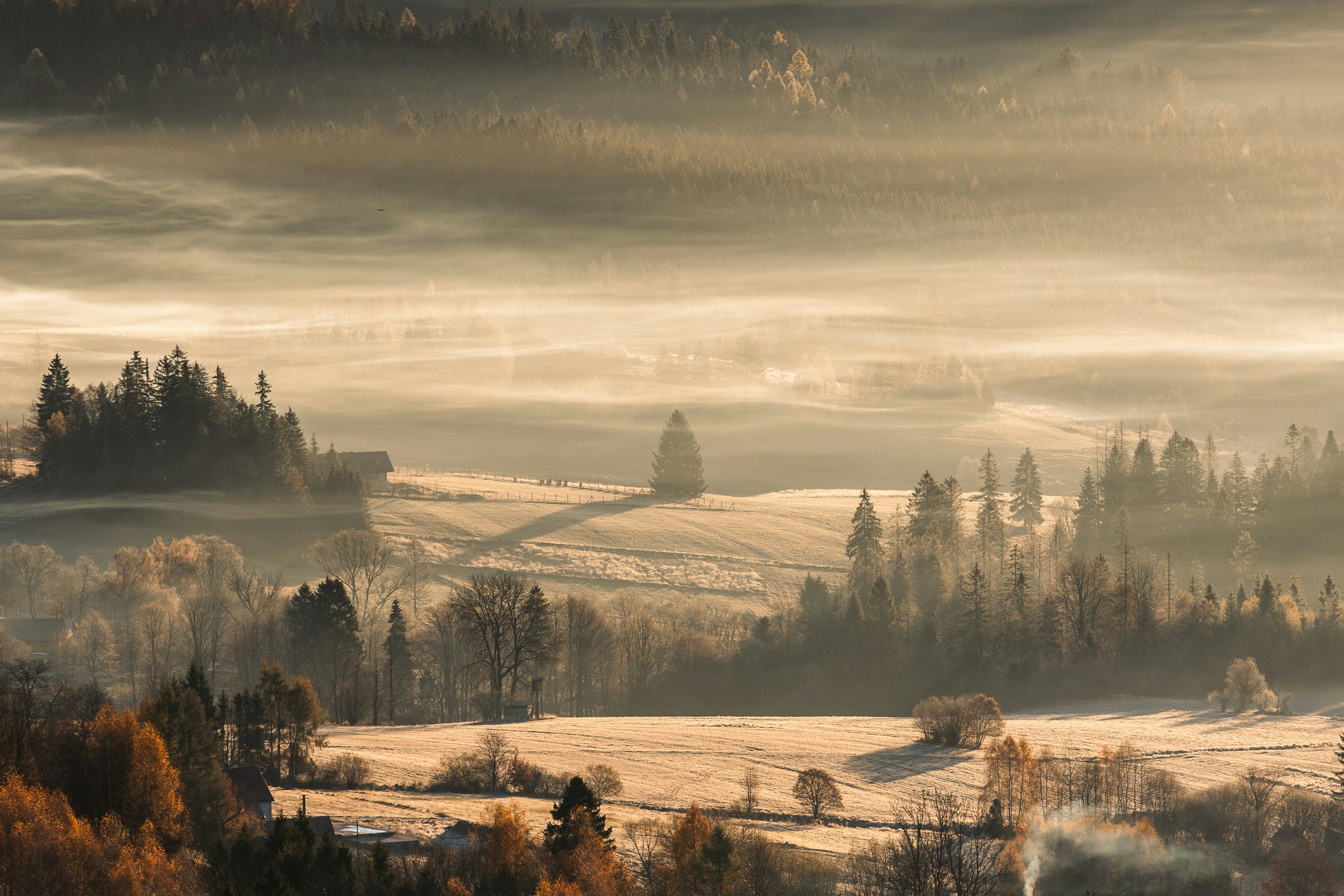 A view of a foggy countryside with trees photo – Free Poland Image on ...