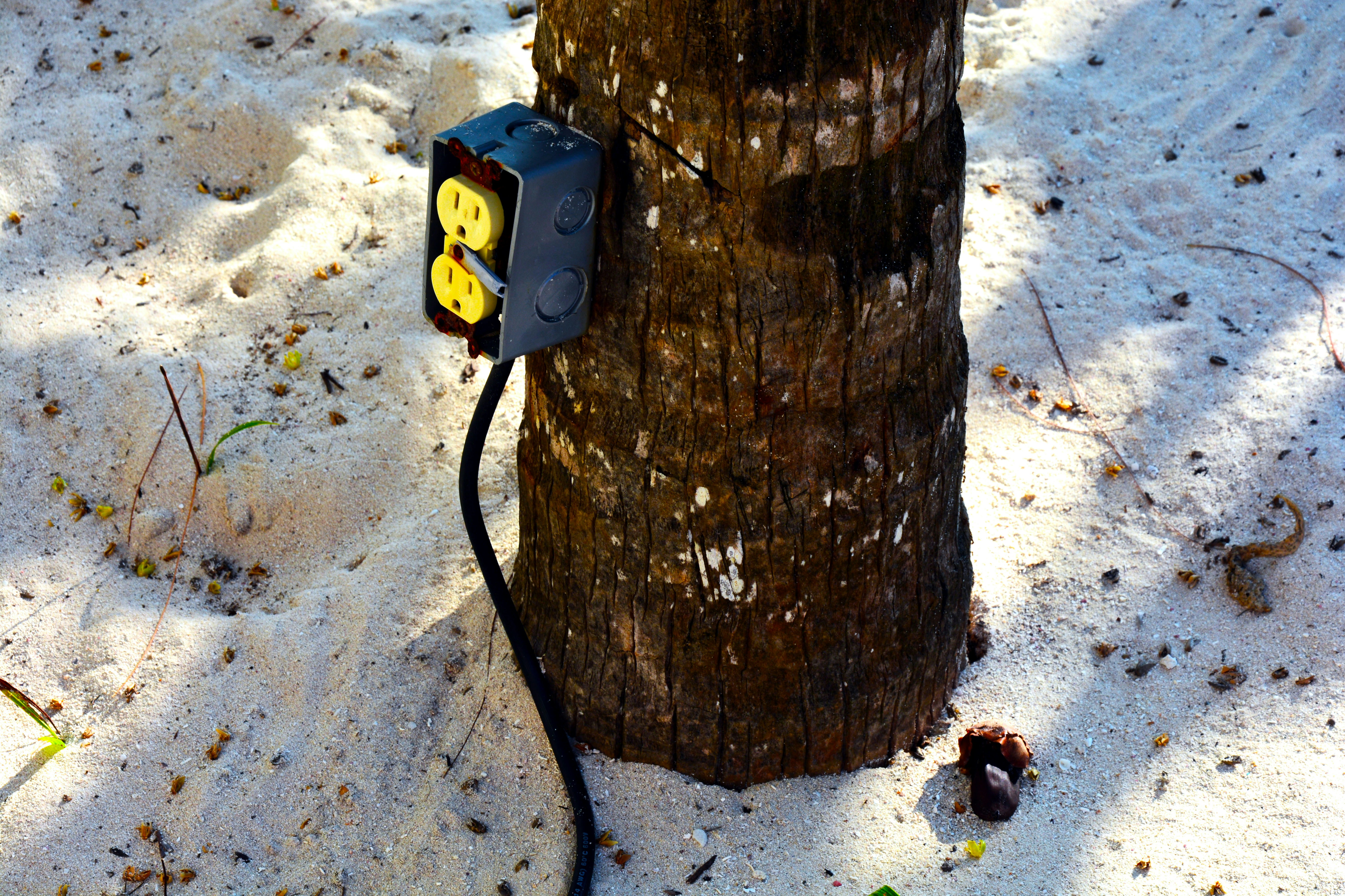Two Suns, One Outlet: A Portable Power Box Braces a Sand-Strewn Palm Trunk