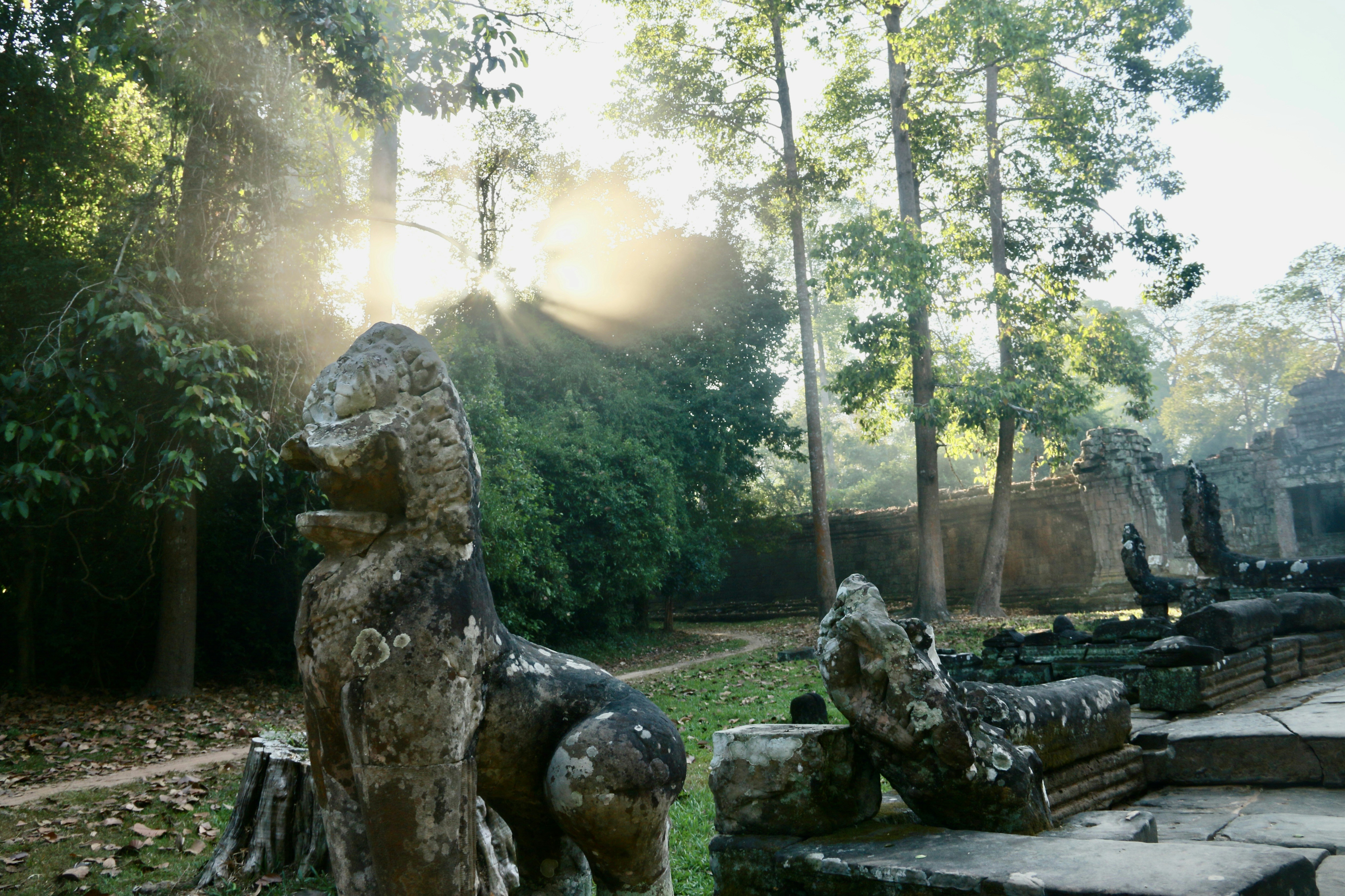 Sunlit Guardians Among Ancient Stones
