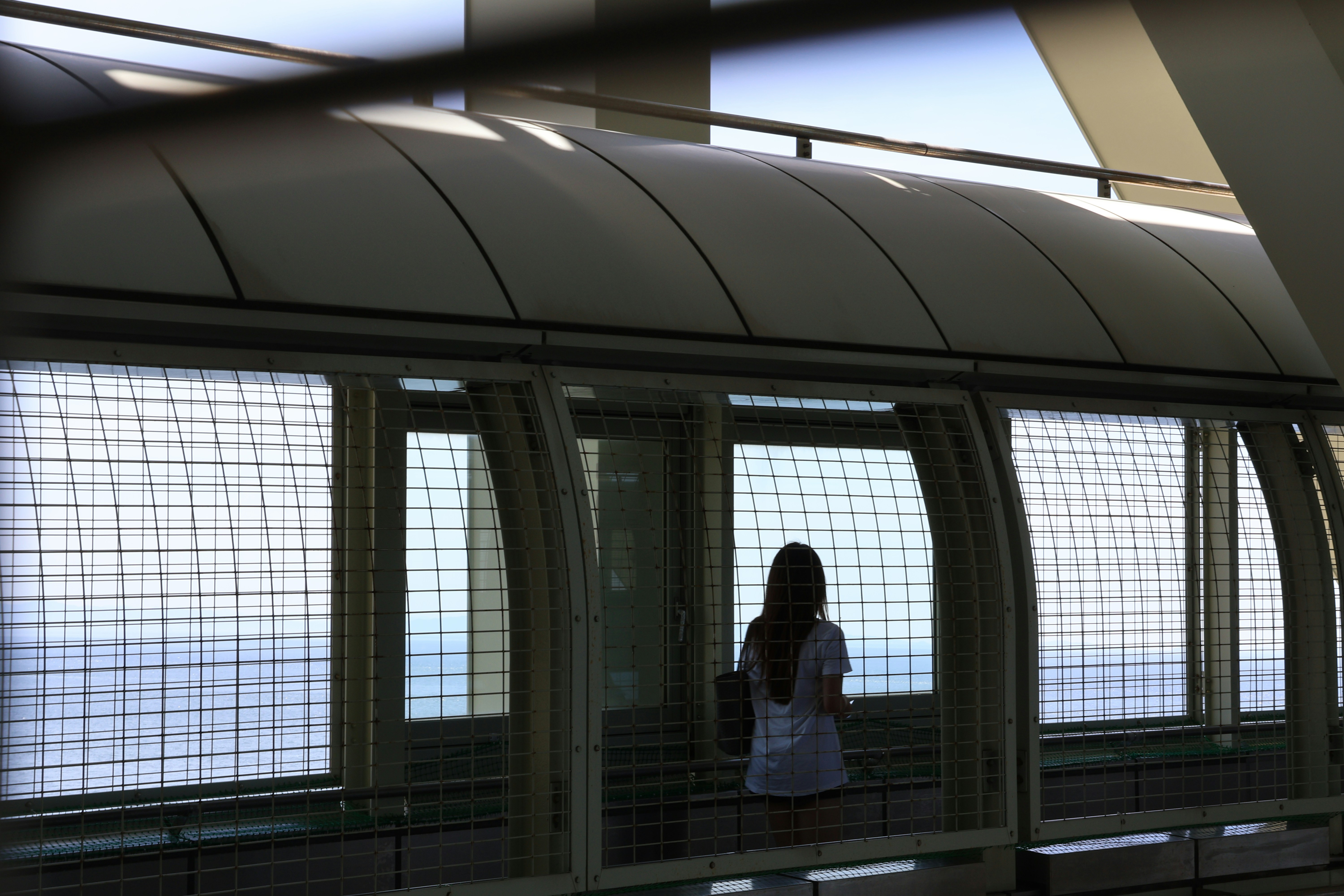 Coastal Vista Through a Grid: A Figure at the Horizon