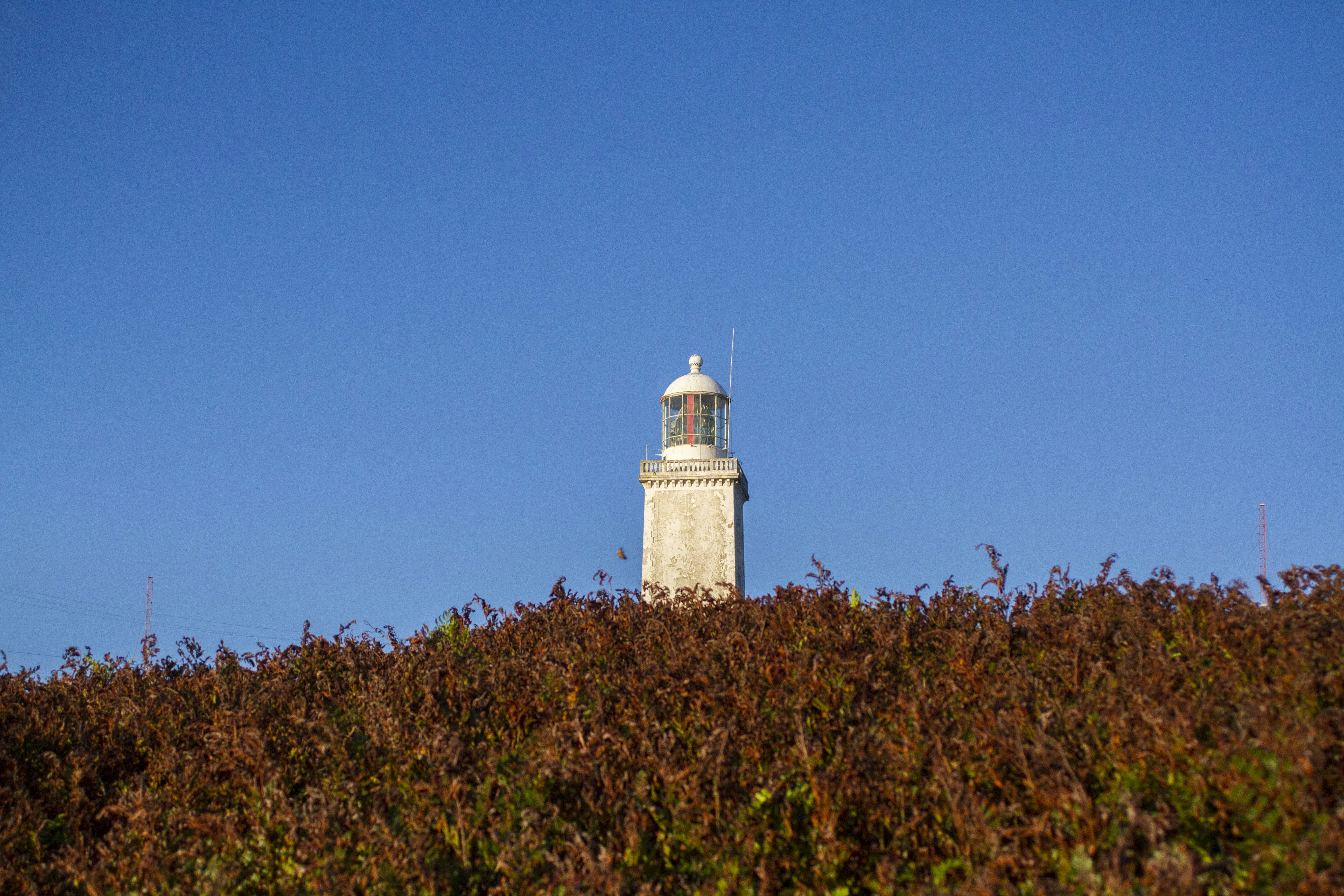 Beacon Above the Ridge: A Lone Lighthouse Against a Cerulean Sky
