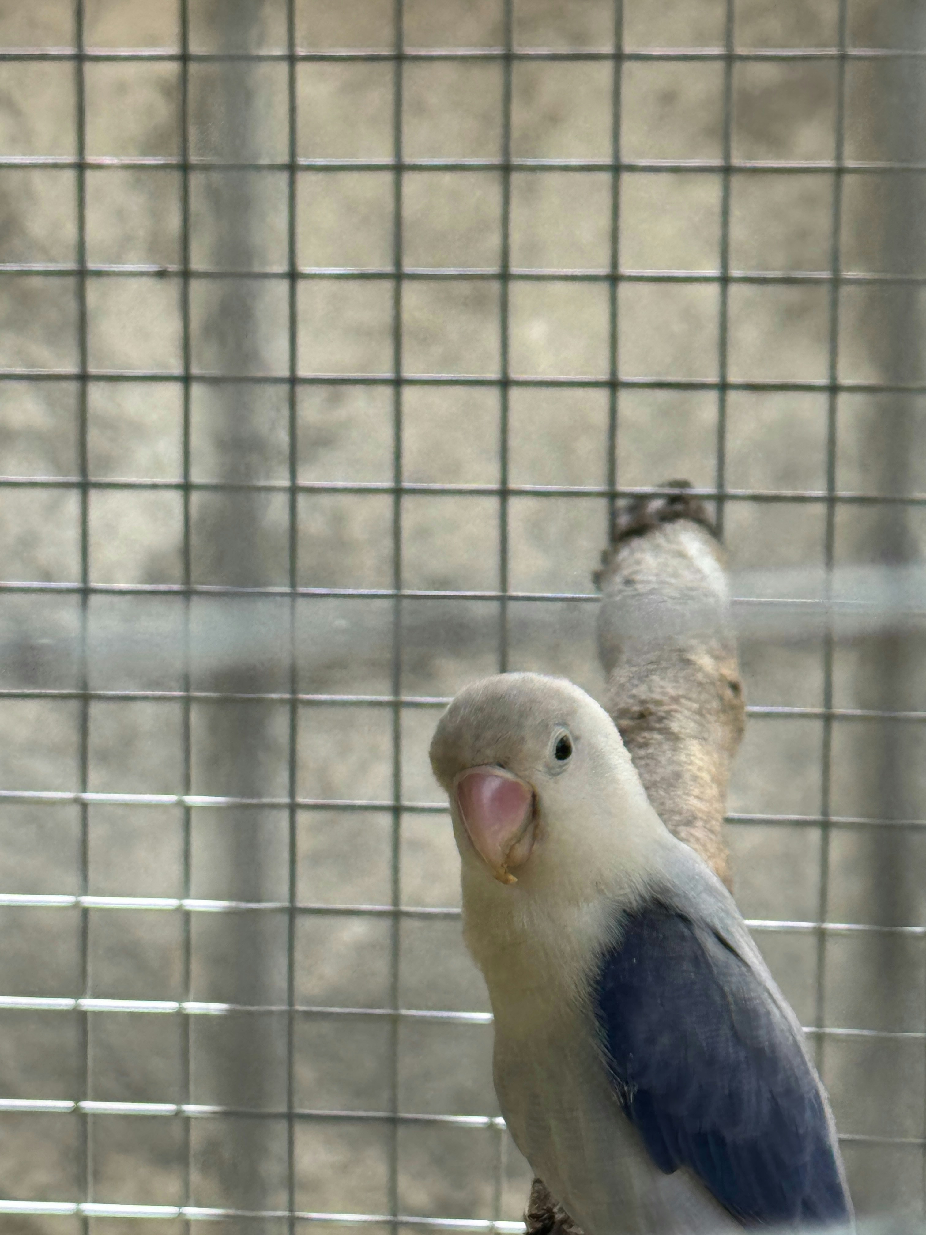 Photo by Gede Kamalesha with Apple iPhone 15 Pro Max