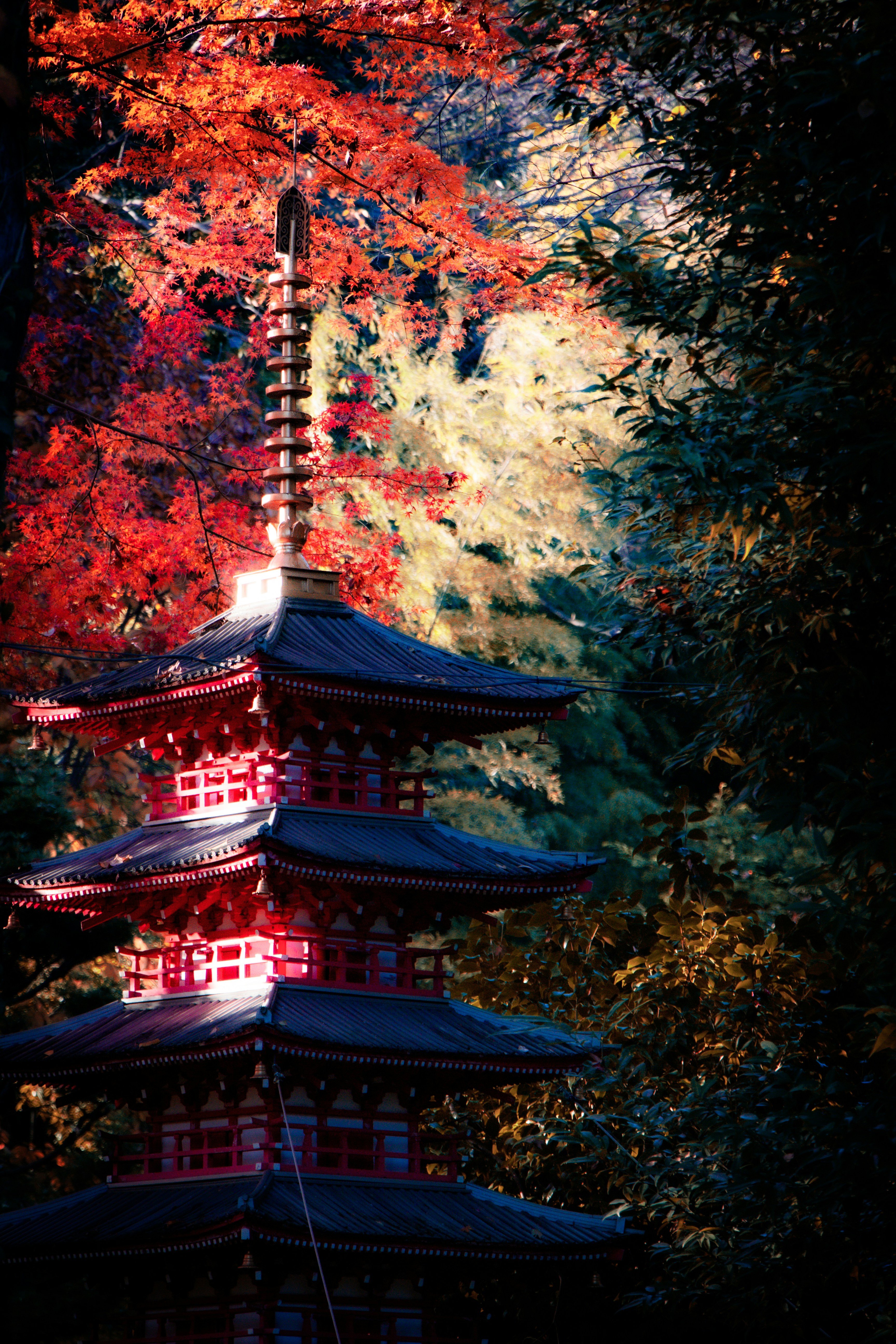 Fall in Japan