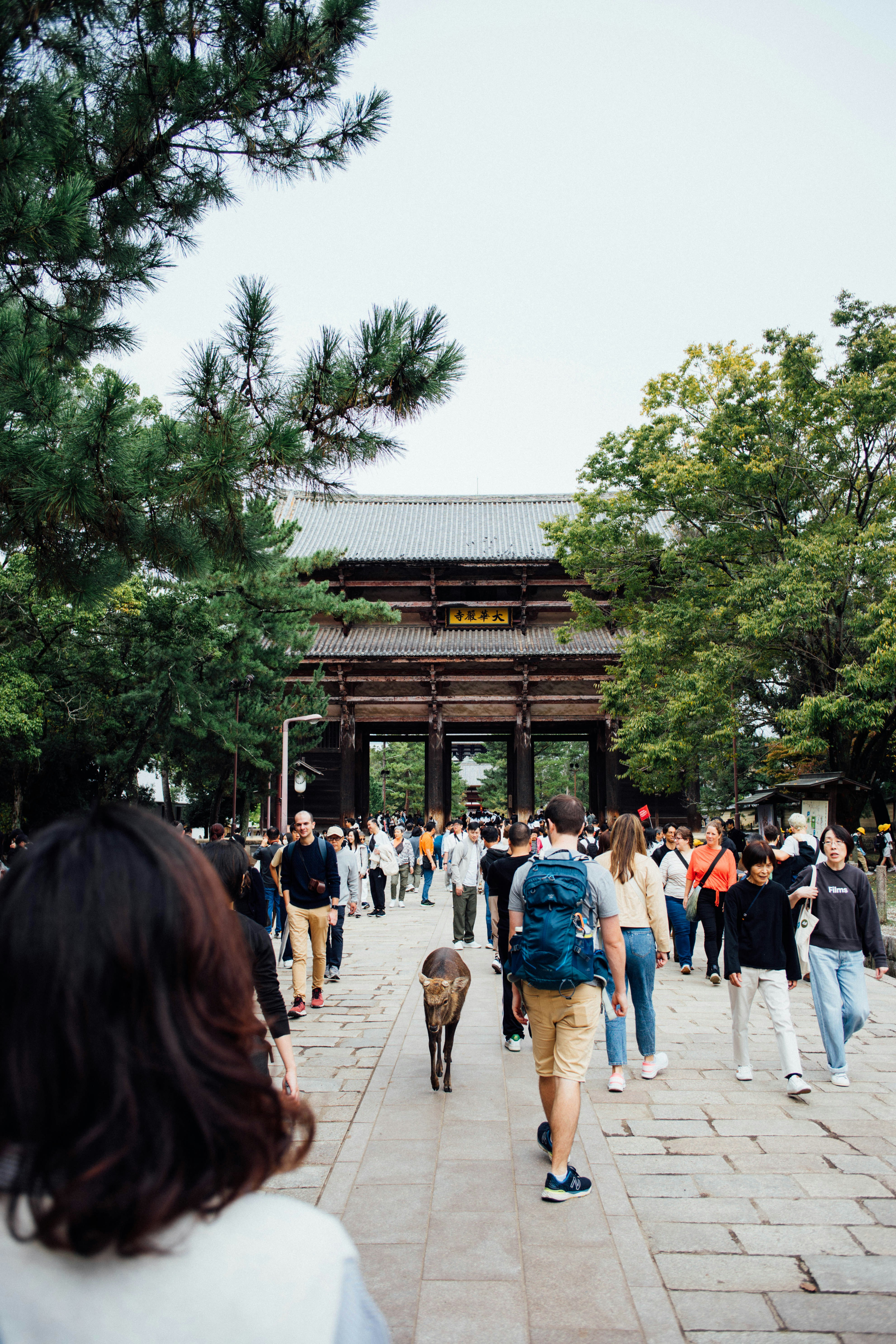 Approach to the Wooden Temple Gate: A Crowd at the Archway