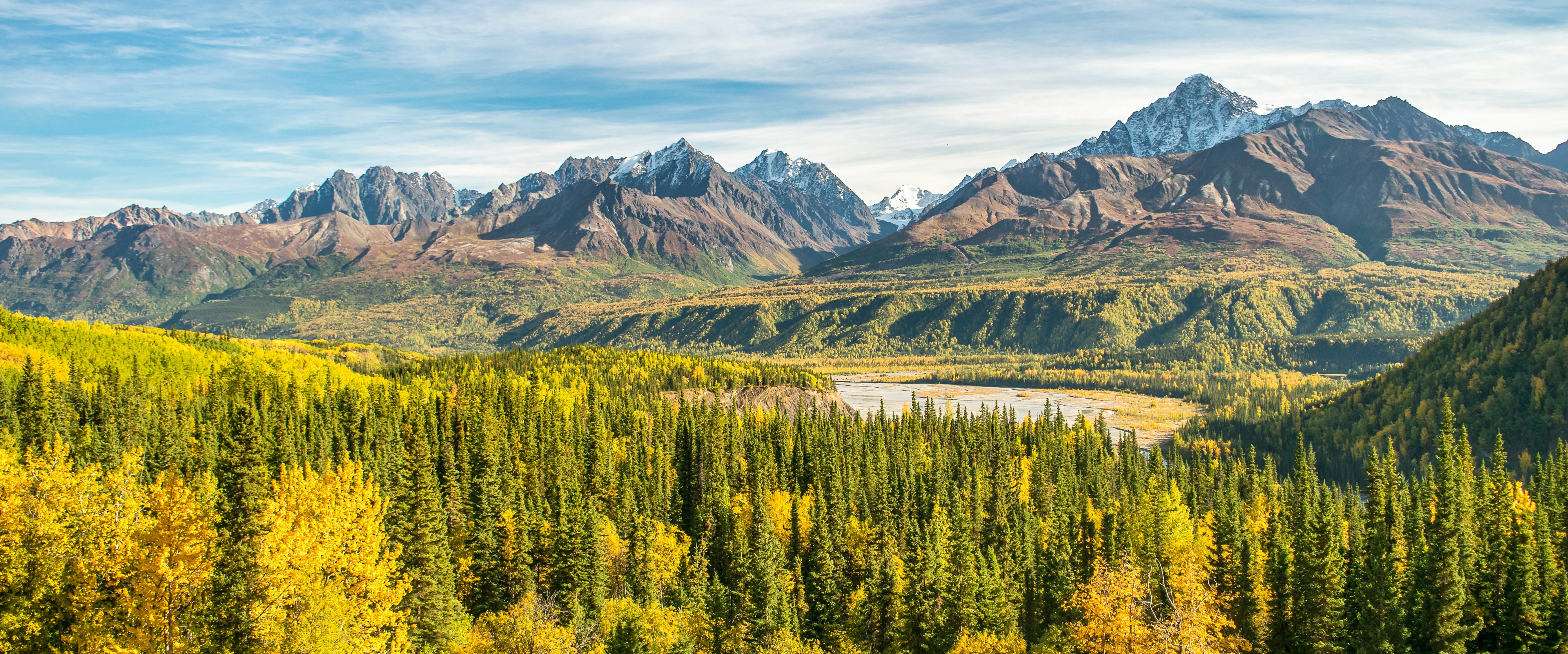 Autumn Peaks: A Golden Forest Beneath Rugged Ridges