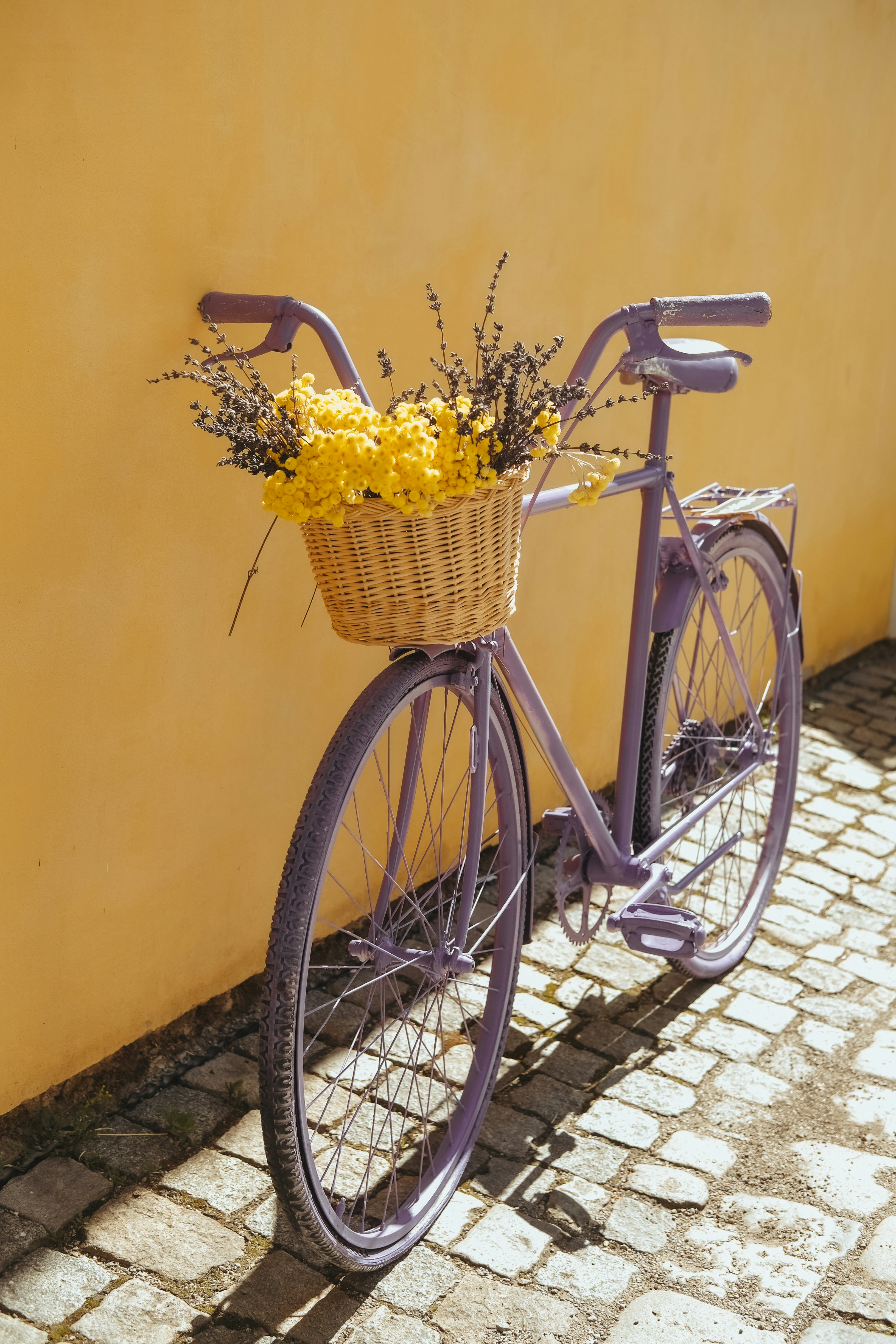Lavender Bicycle with a Basket of Yellow Blooms by a Sunlit Yellow Wall