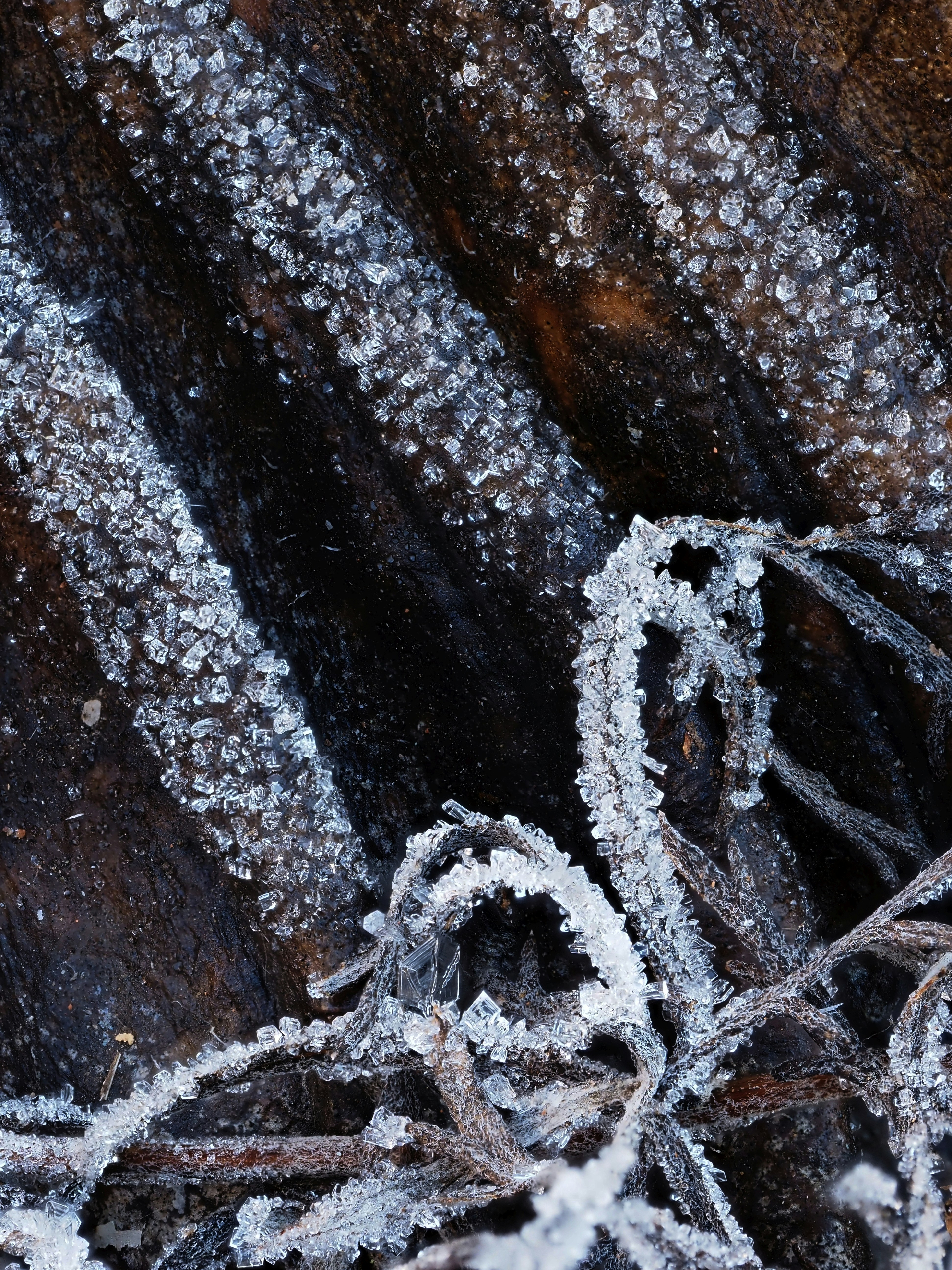 Icy Fractures on Charred Wood
