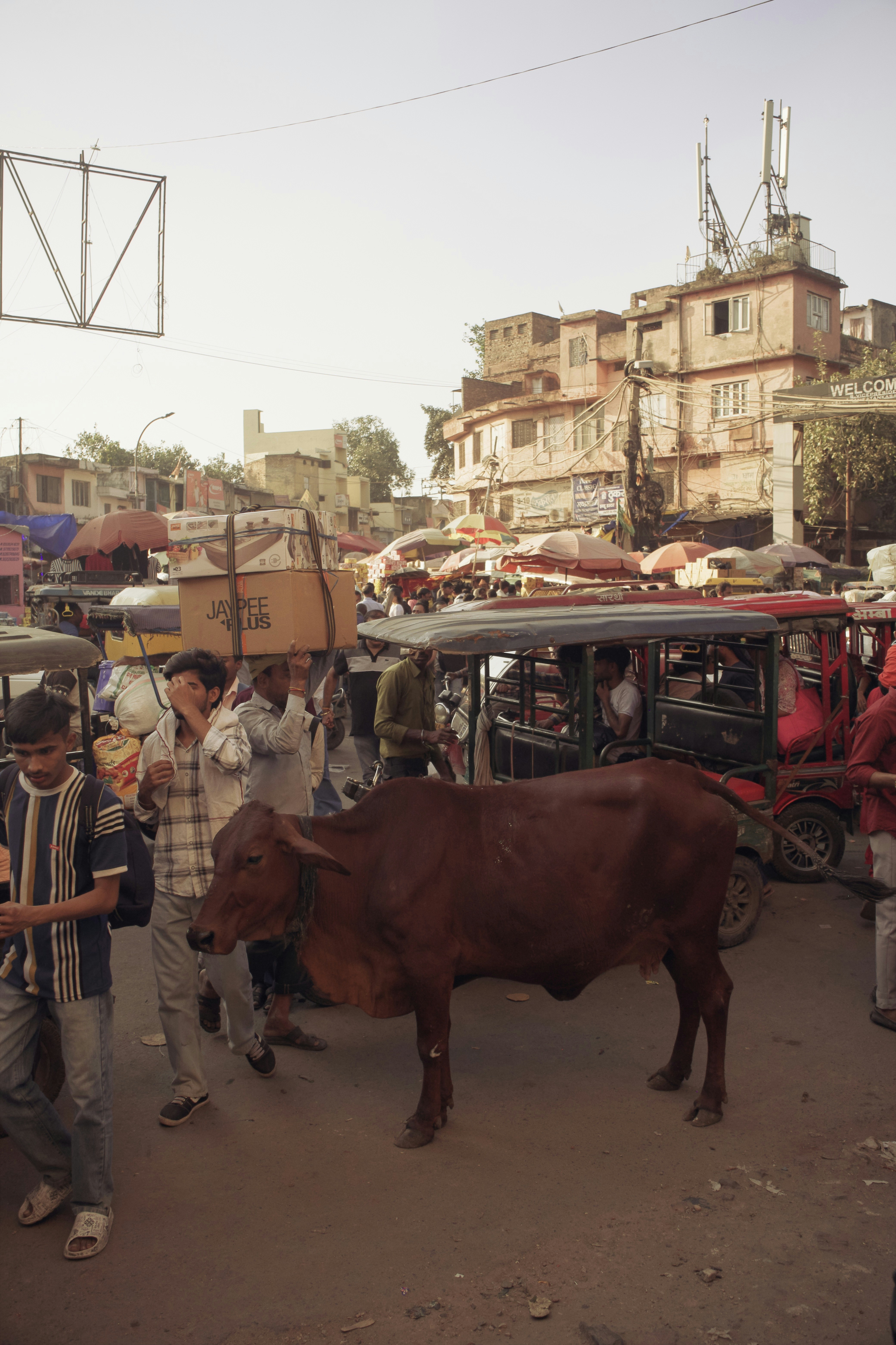 Photo by Adam Hornyak with Fujifilm X-T3