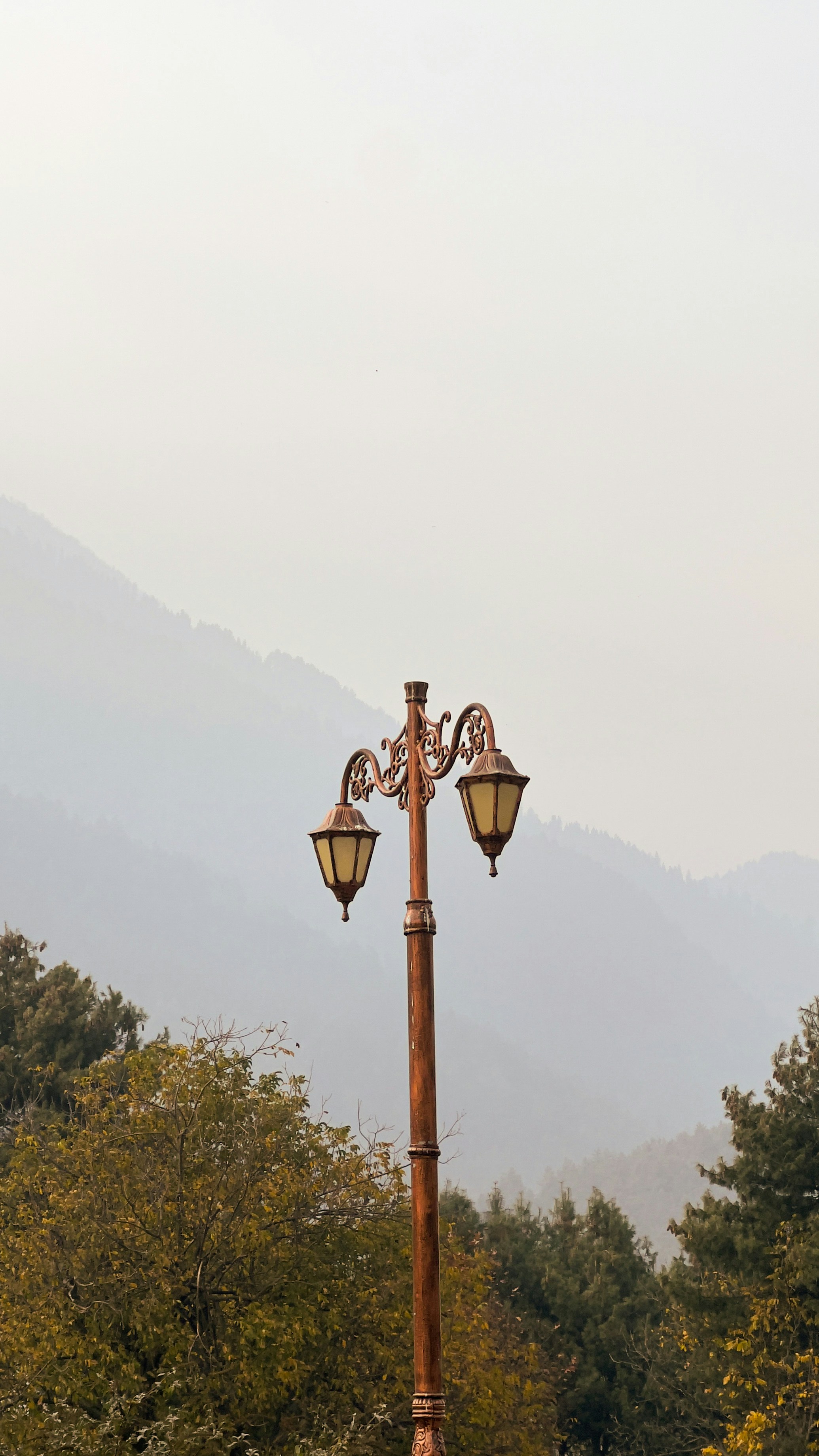 Copper Lanterns at Dawn: a solitary post amid misty valley ridges