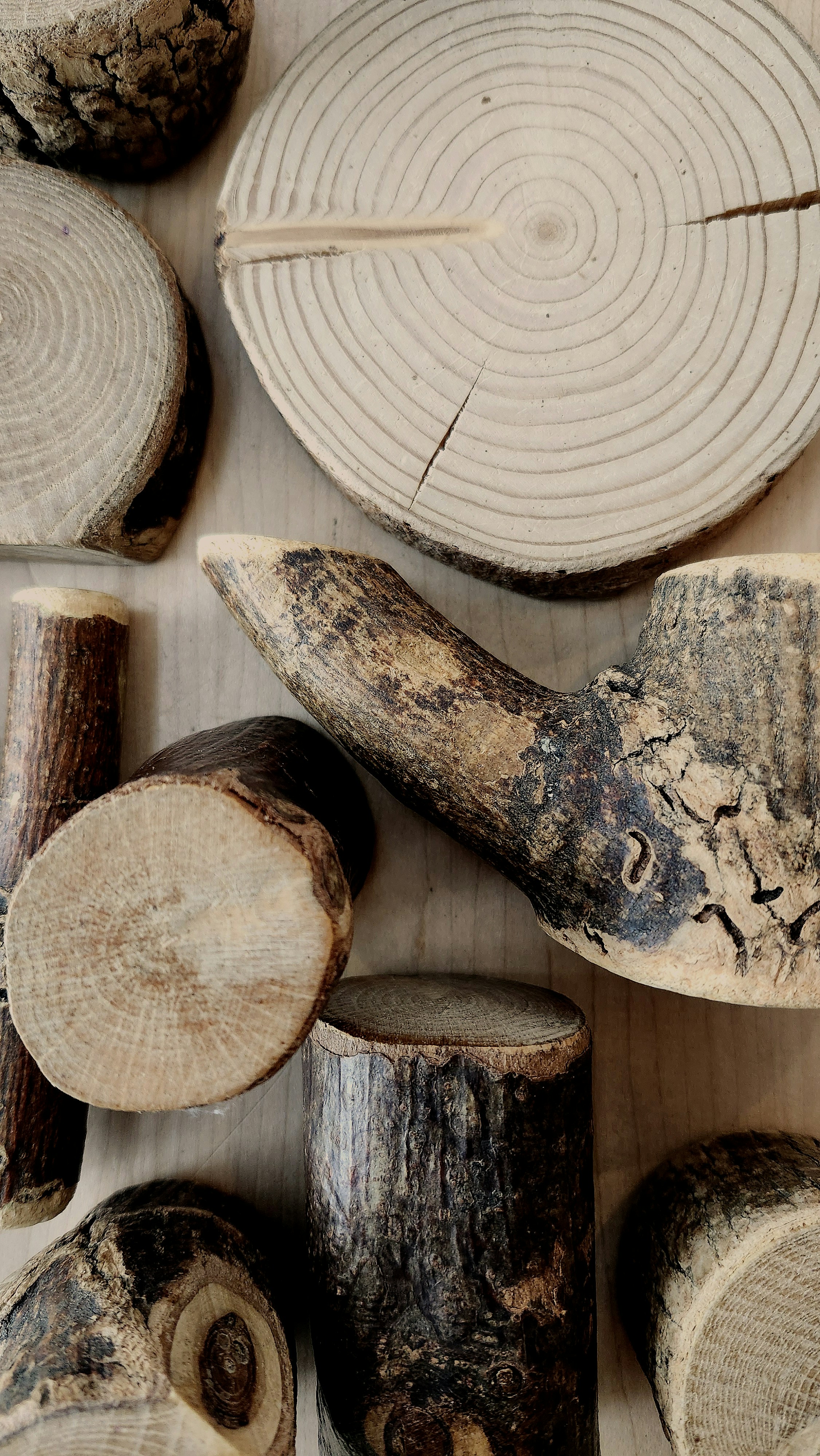 A collection of various wooden logs and slices arranged artistically, showcasing the natural patterns and textures of wood. 