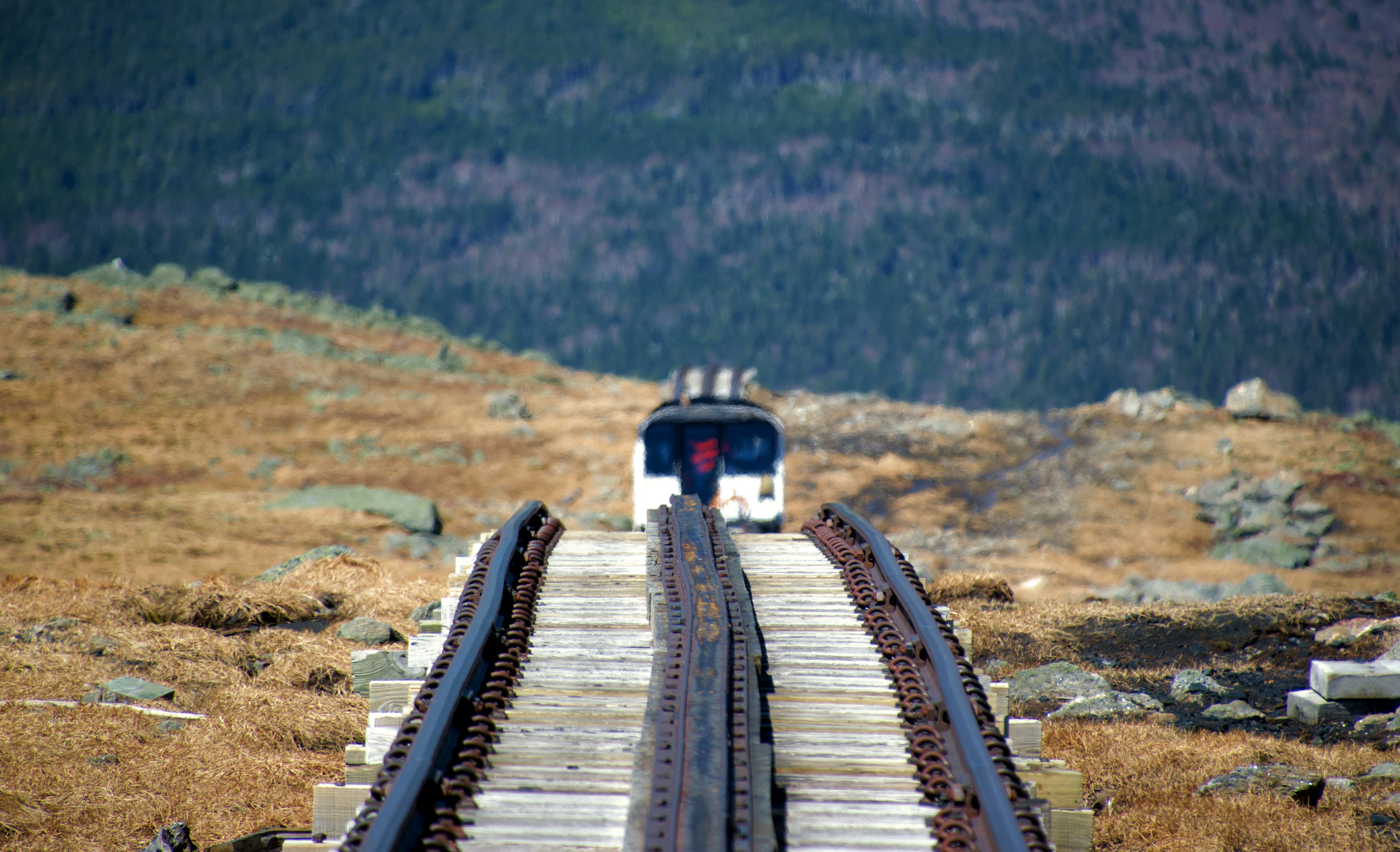 Photo by Joss Woodhead with Nikon D3300