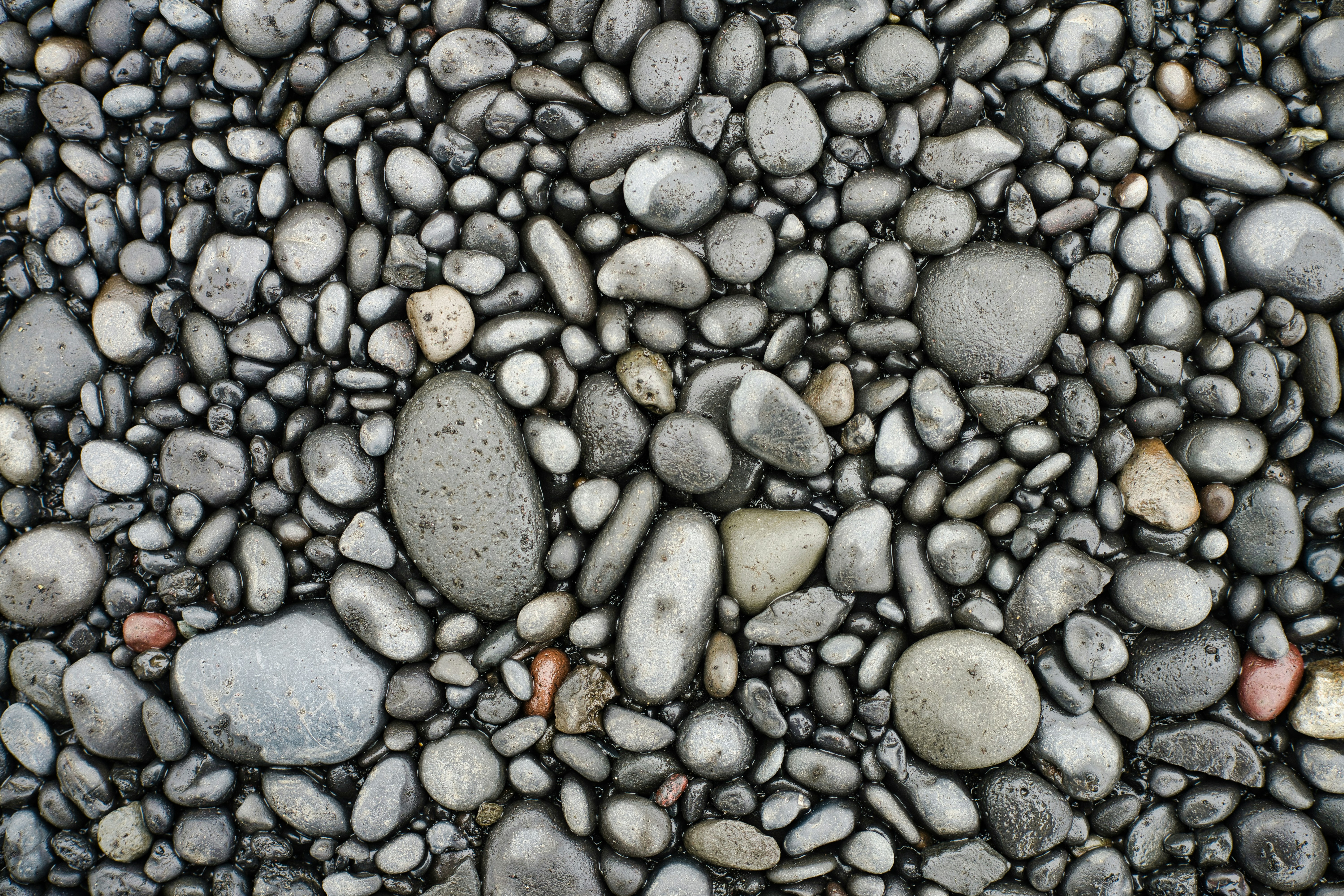 Photo by Maksim Shutov with Sigma fp