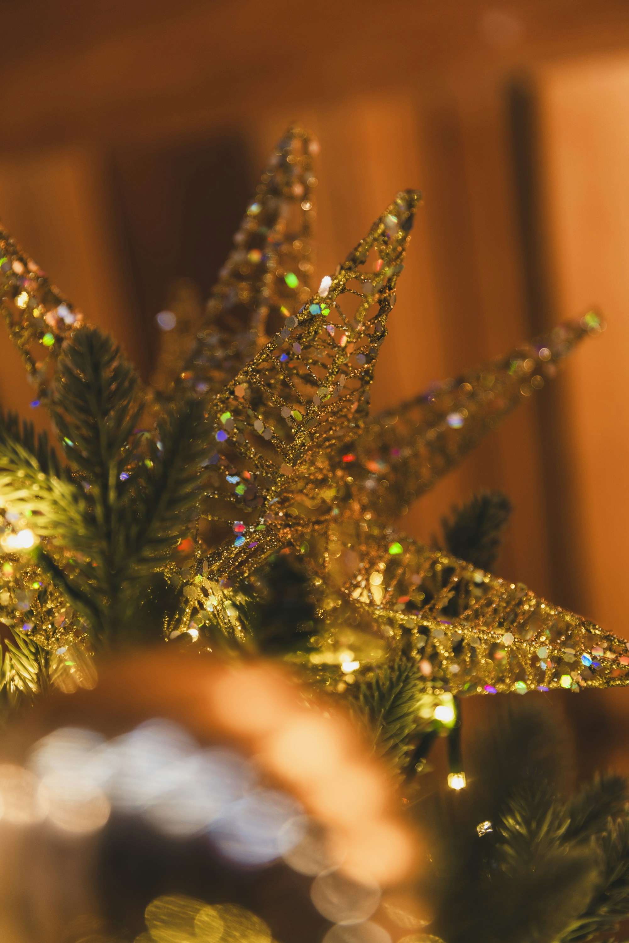 A close up of a christmas tree with lights photo – Free Christmas star ...