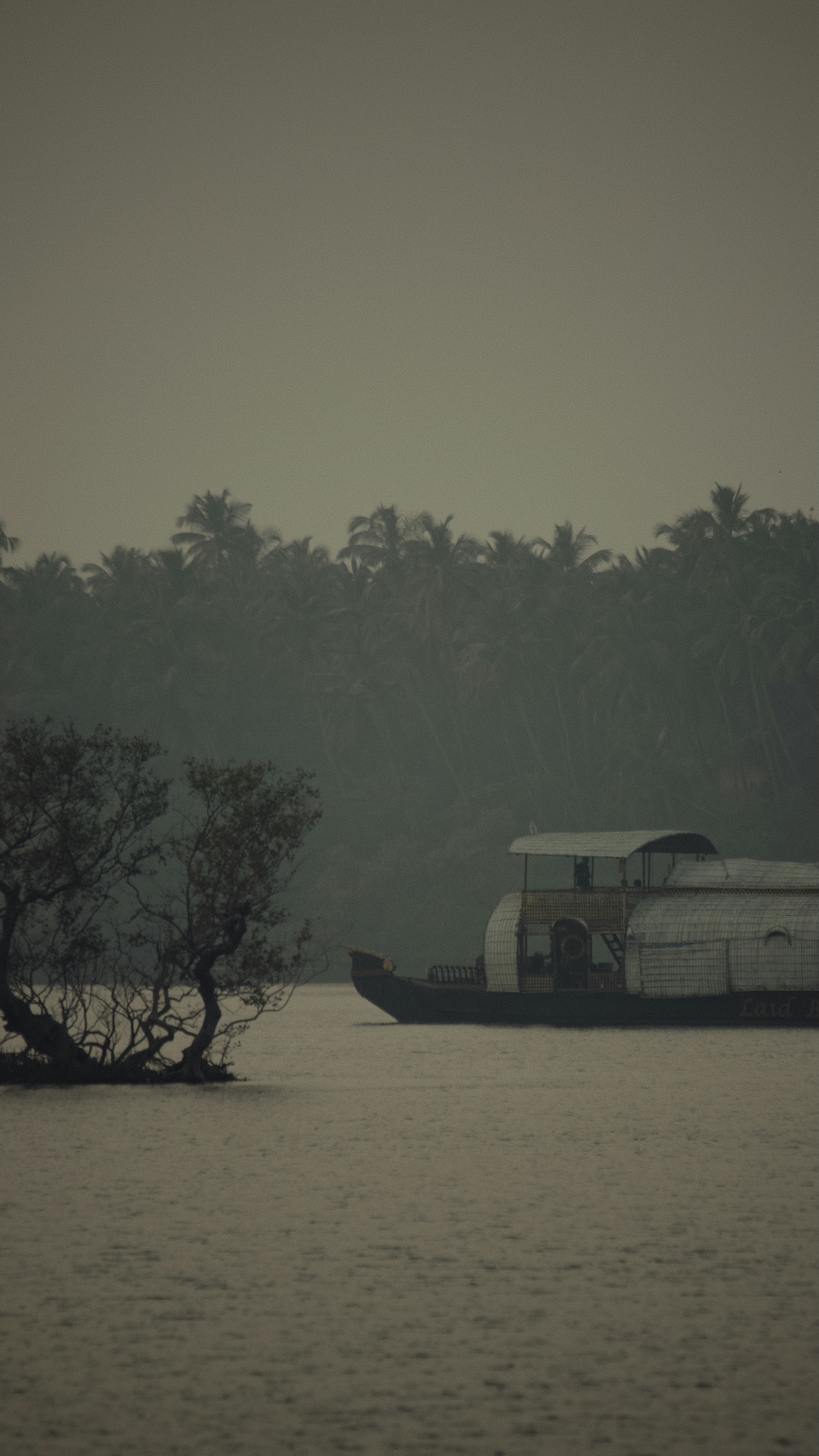 Mist-Lined Houseboat Drifting Along a Palm-Laden River