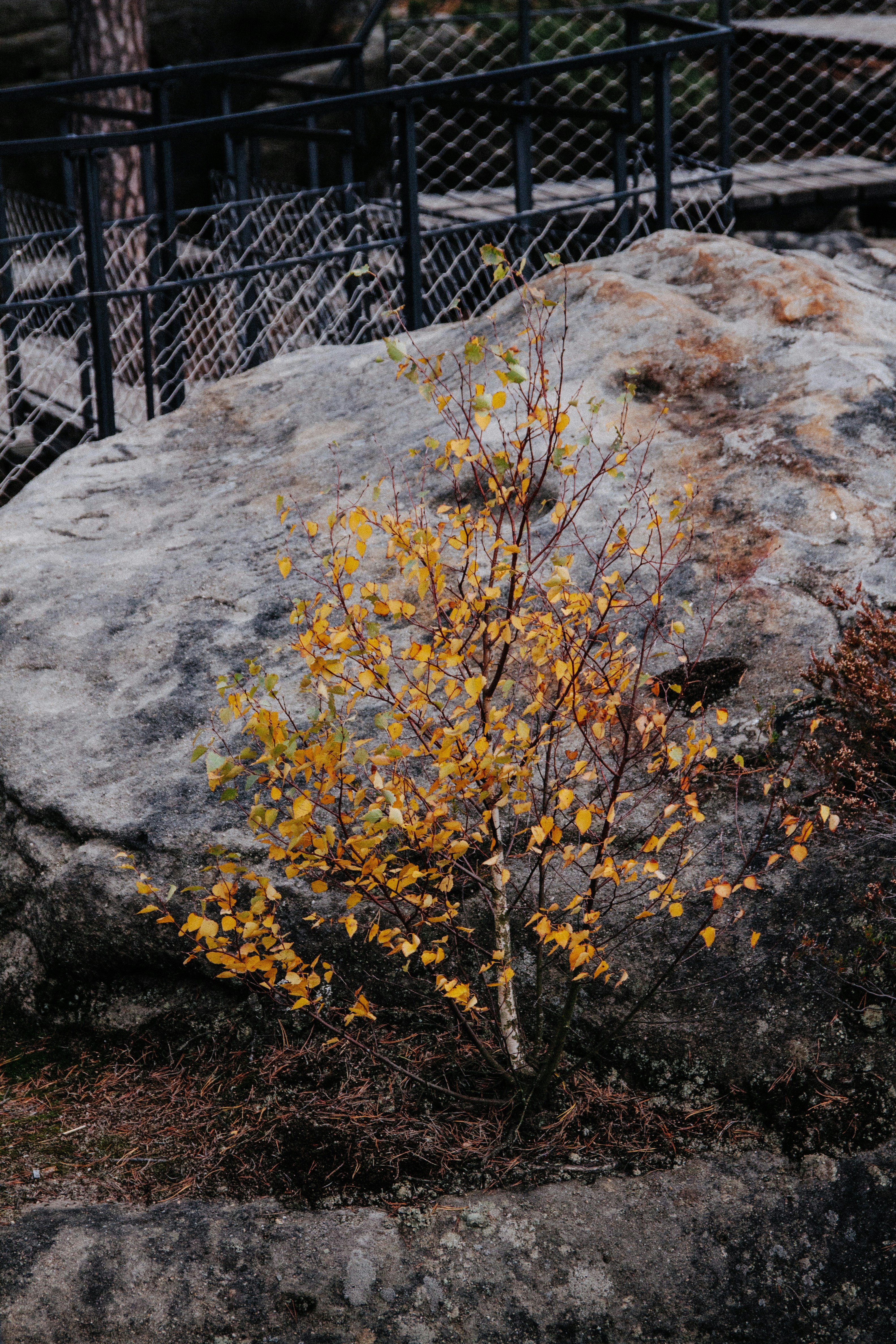 Photo by Ben Kupke with Canon EOS 500D