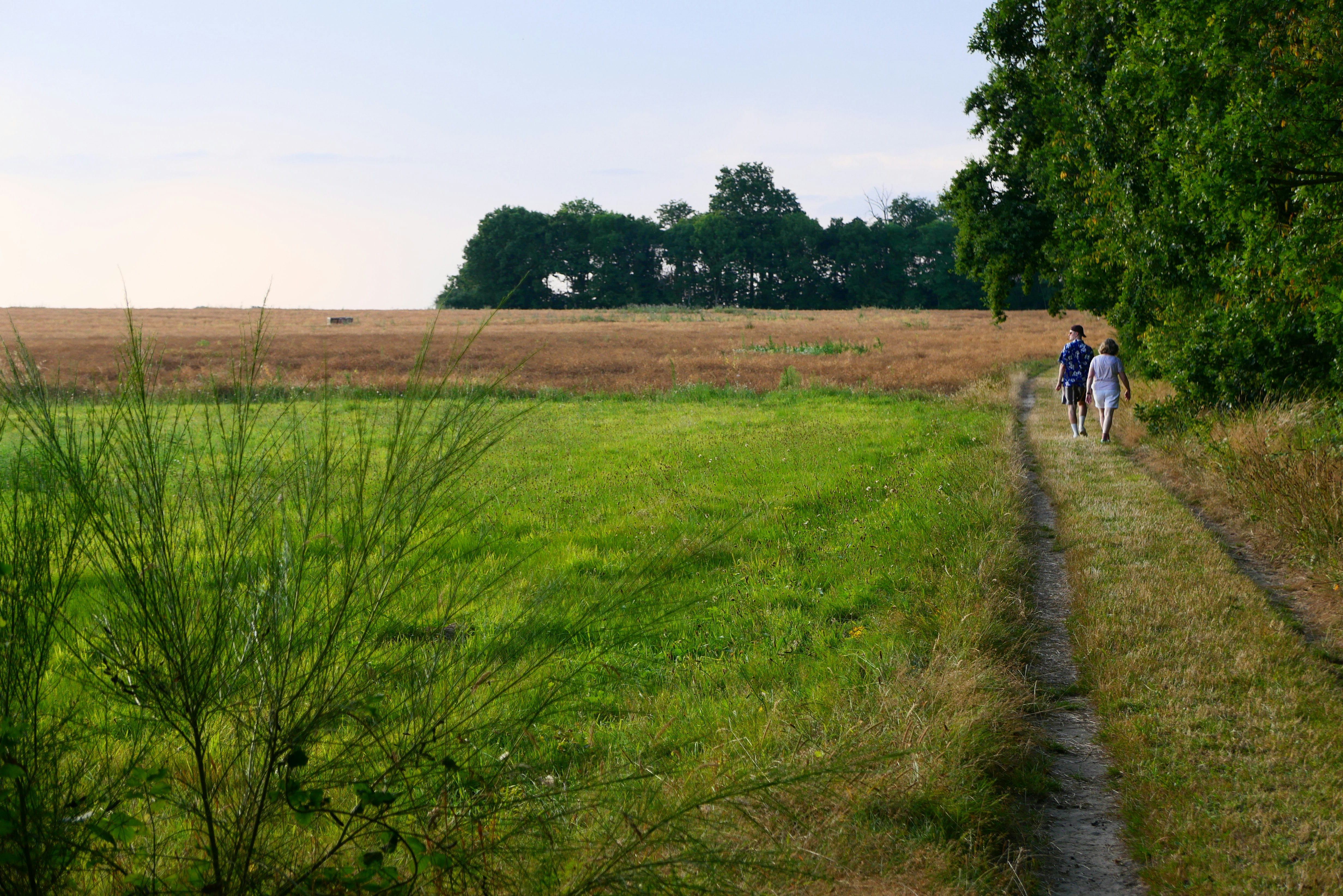 Two Walkers on a Quiet Path: A Sunlit Countryside Moment