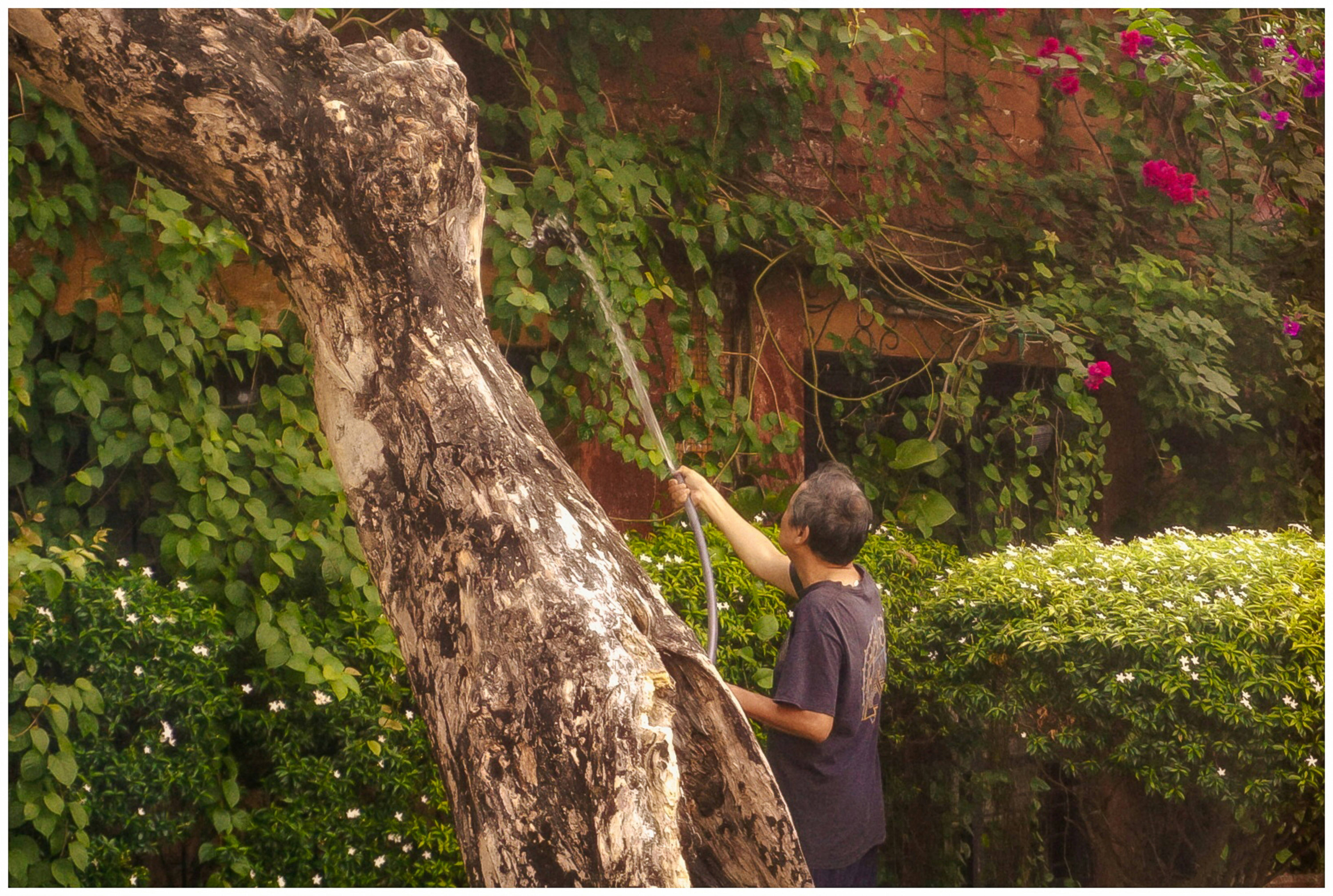 Photo by deon with Sony Alpha 6000