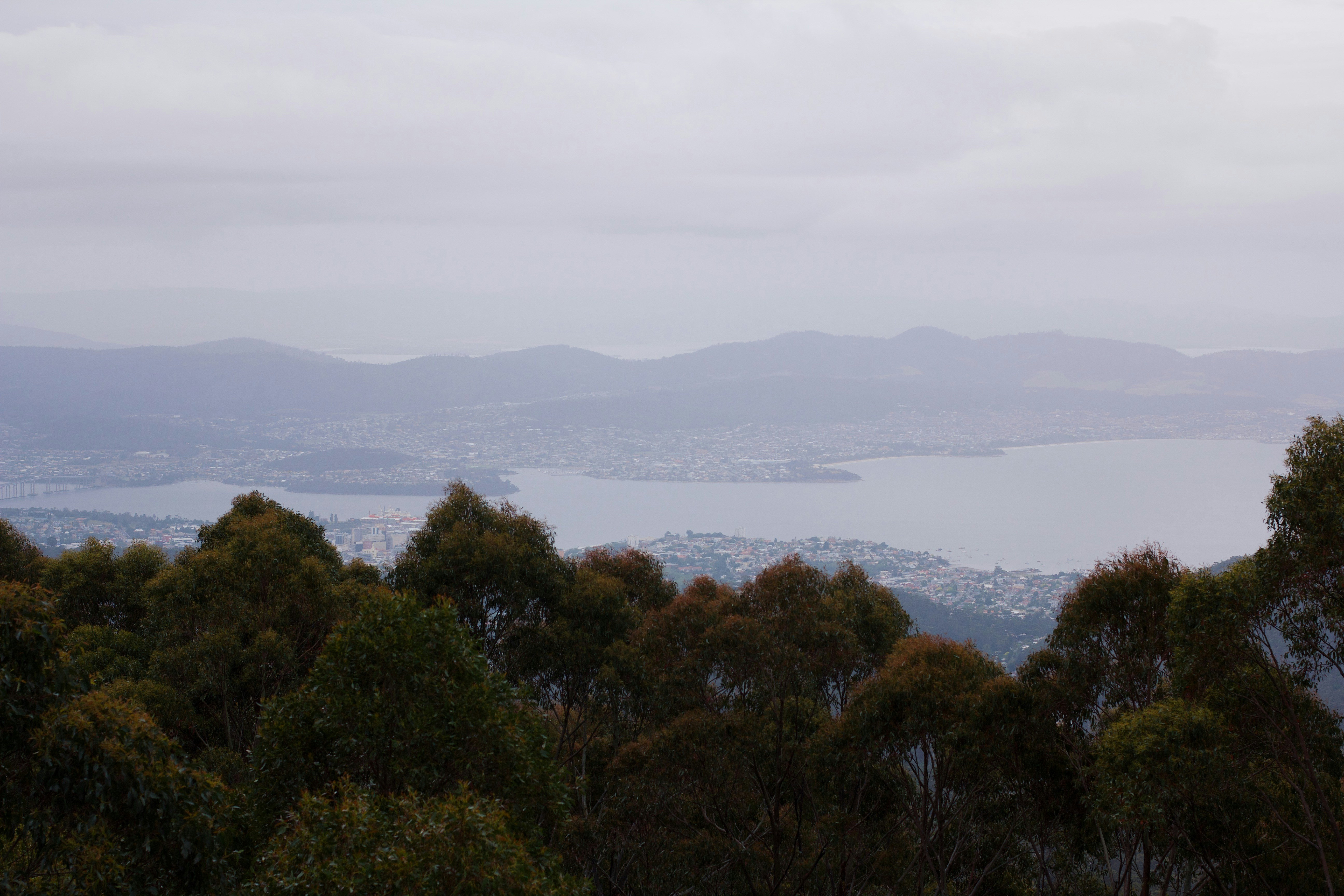 View of a sprawling cityscape and bay under a cloudy sky, framed by foreground trees.