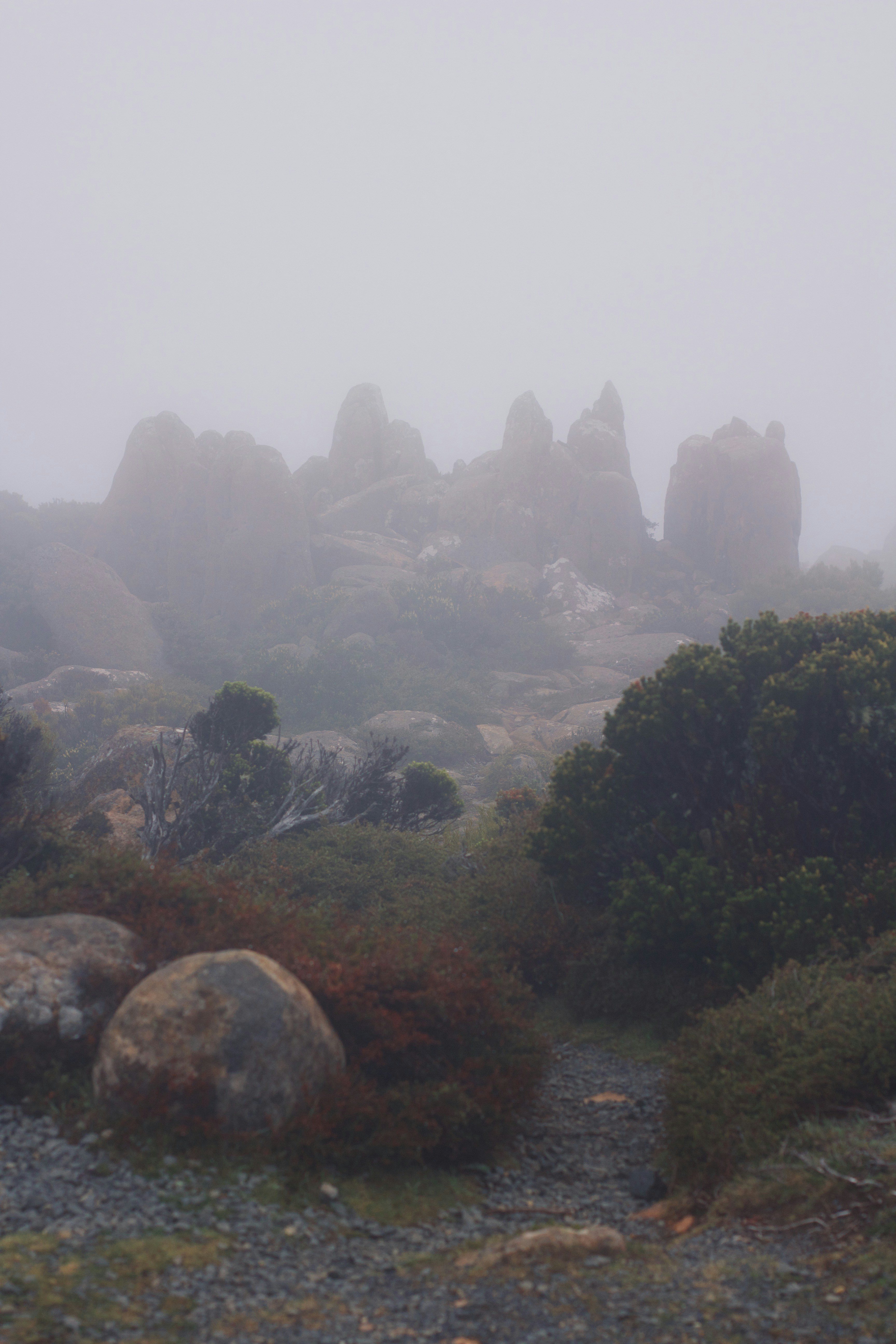 Mountain rocks in the fog