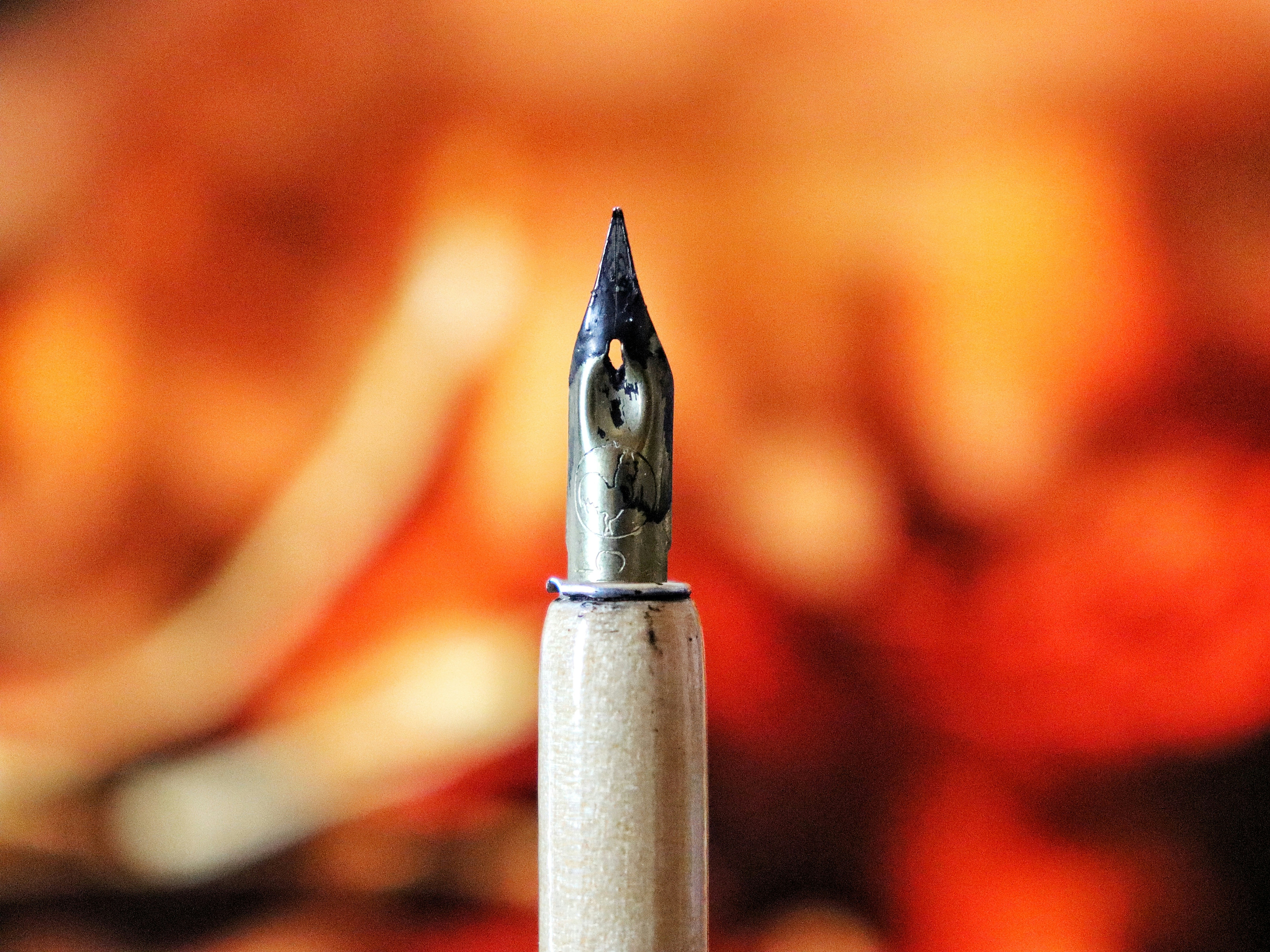 Photo by CAIO DELAROLLE with Canon EOS 250D