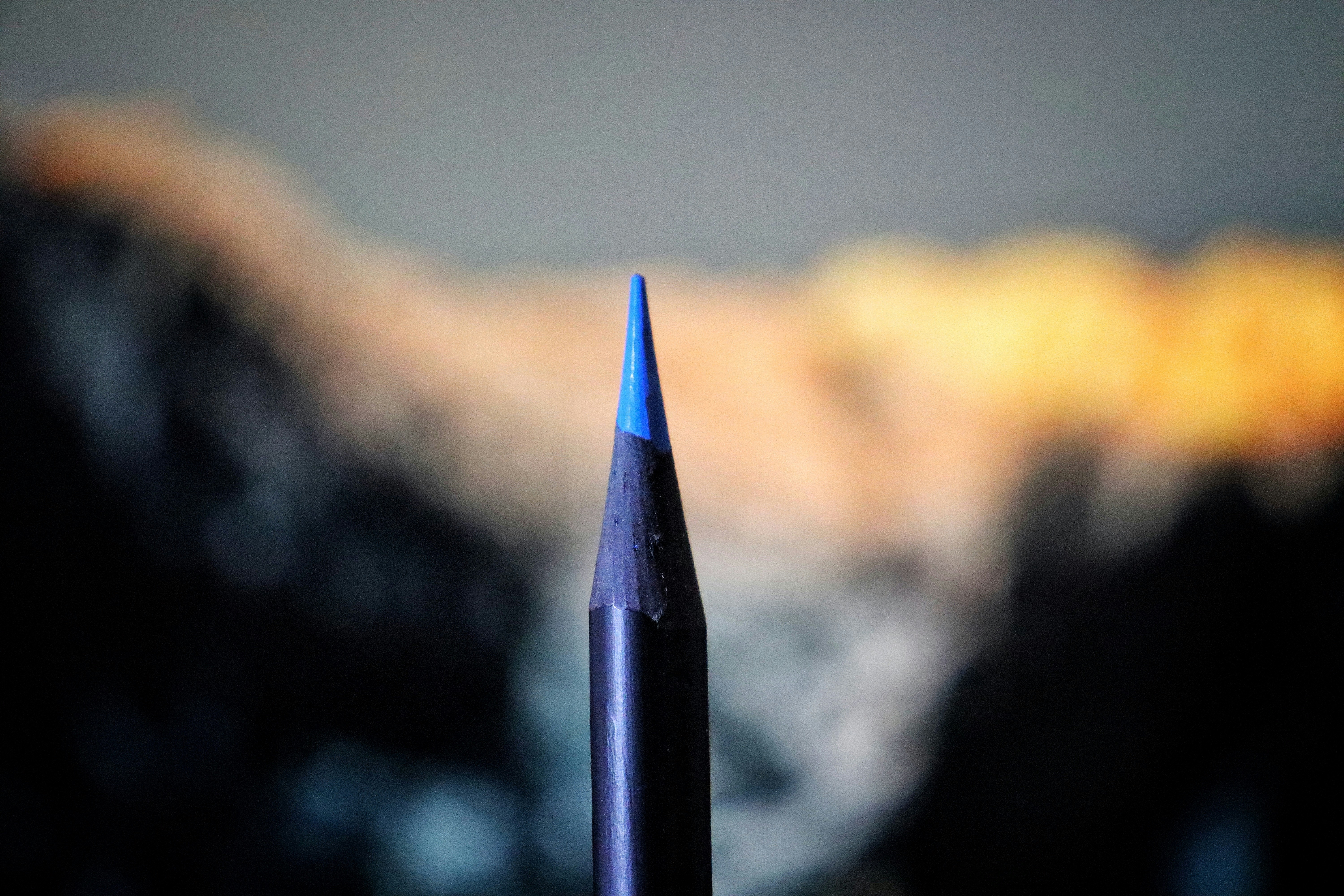Cobalt Tip in Velvet Blur: A Macro Moment