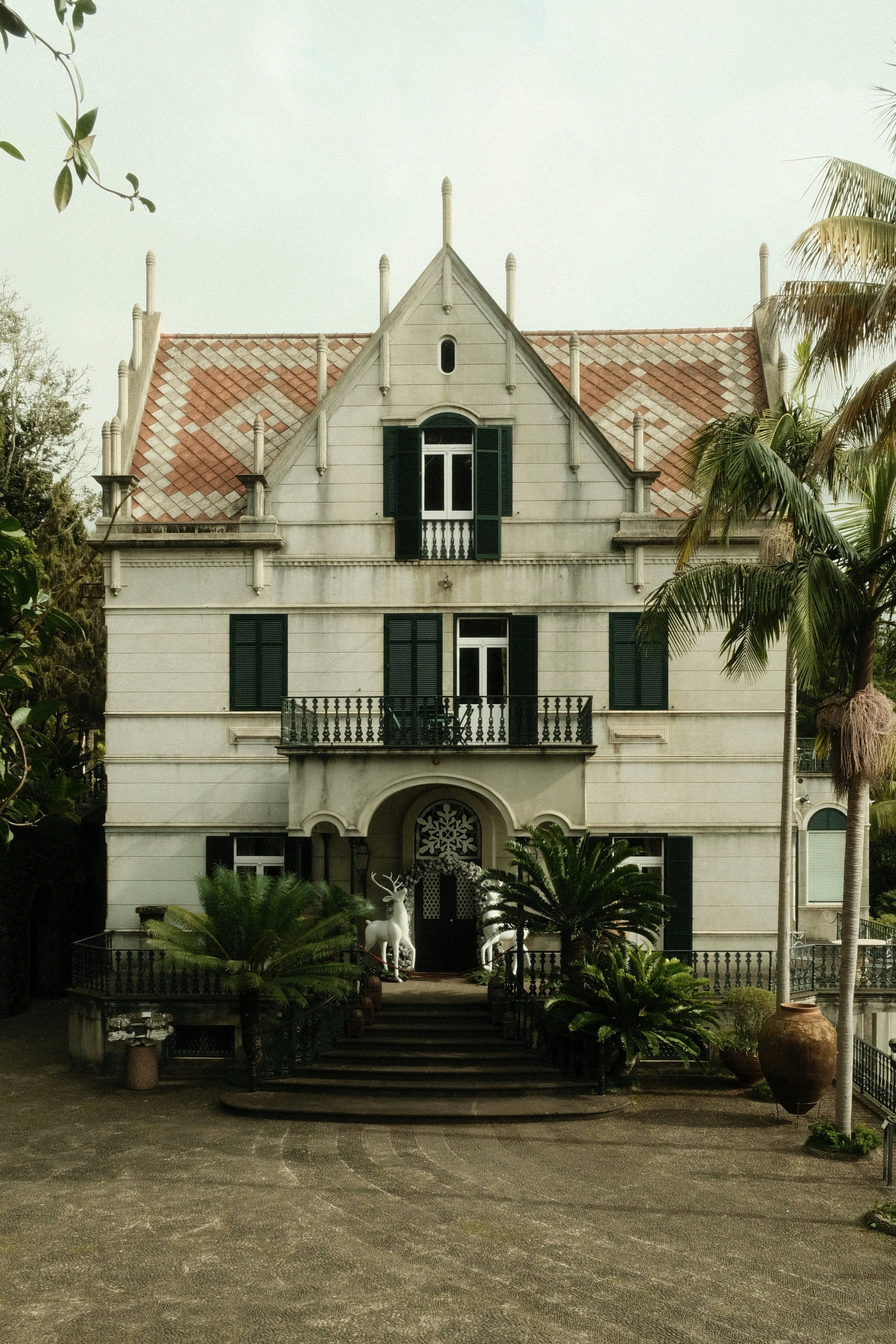Symmetry Under Palms: The Central Villa's Quiet Grandeur
